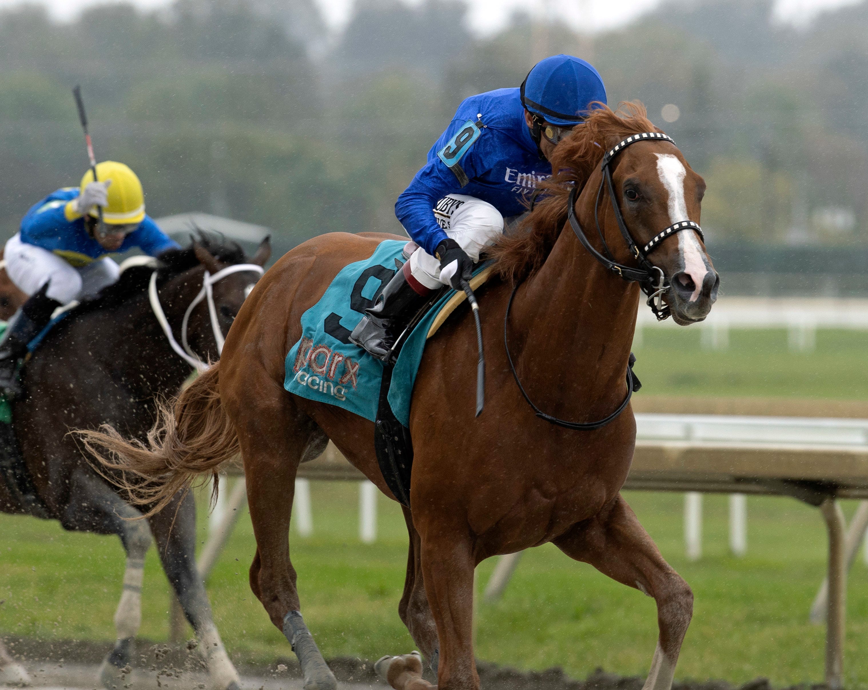 Maycocks Bay improving but could be off Derby trail