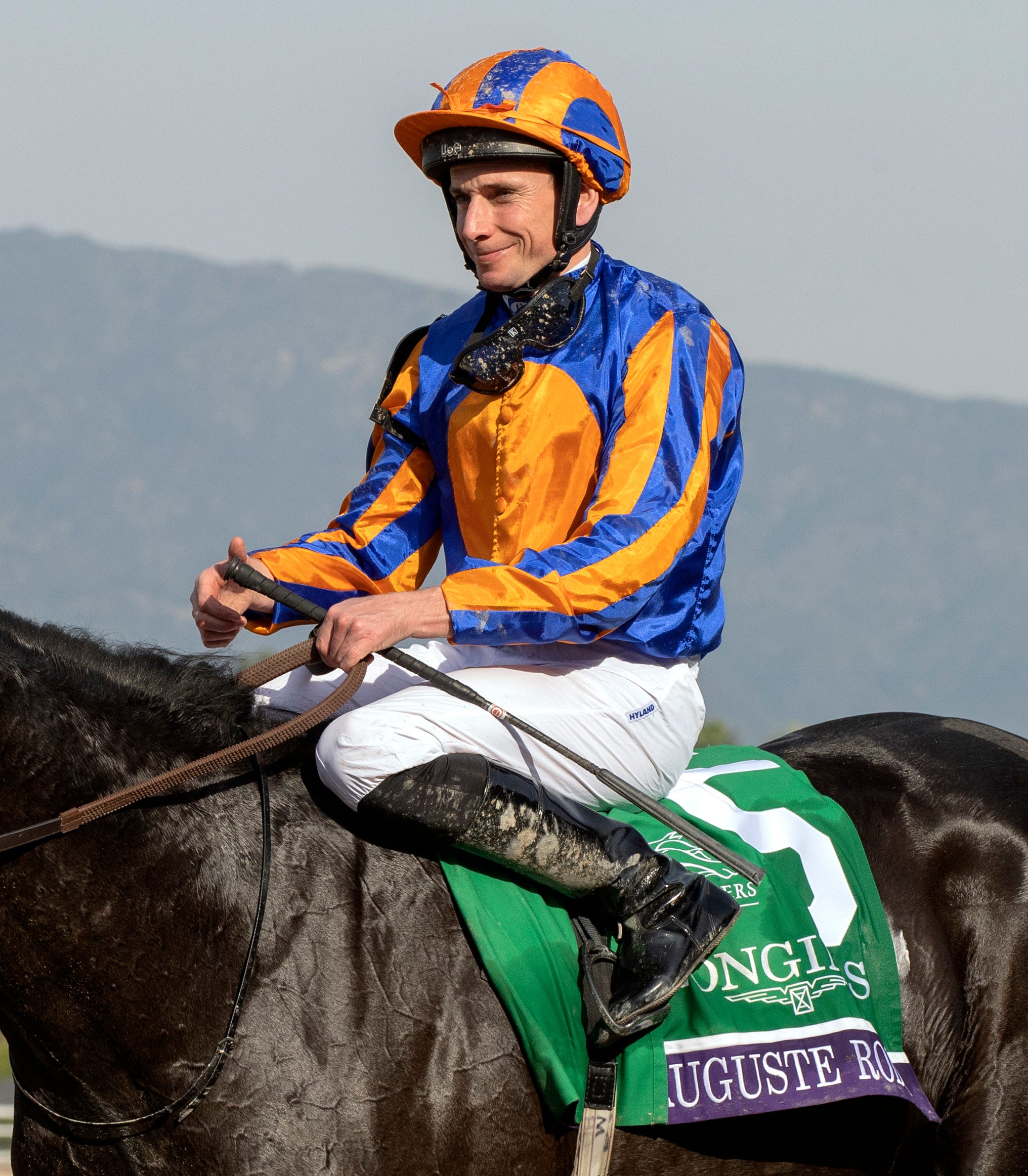 Ryan Moore fined, suspended over Breeders' Cup whip violation