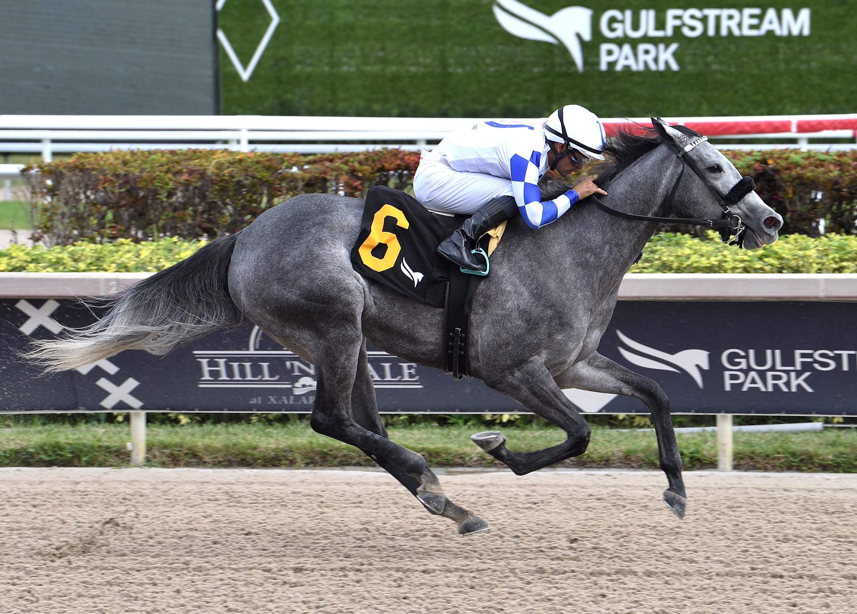 Abundancia adds blinkers, Lasix, switches surfaces in second U.S. start