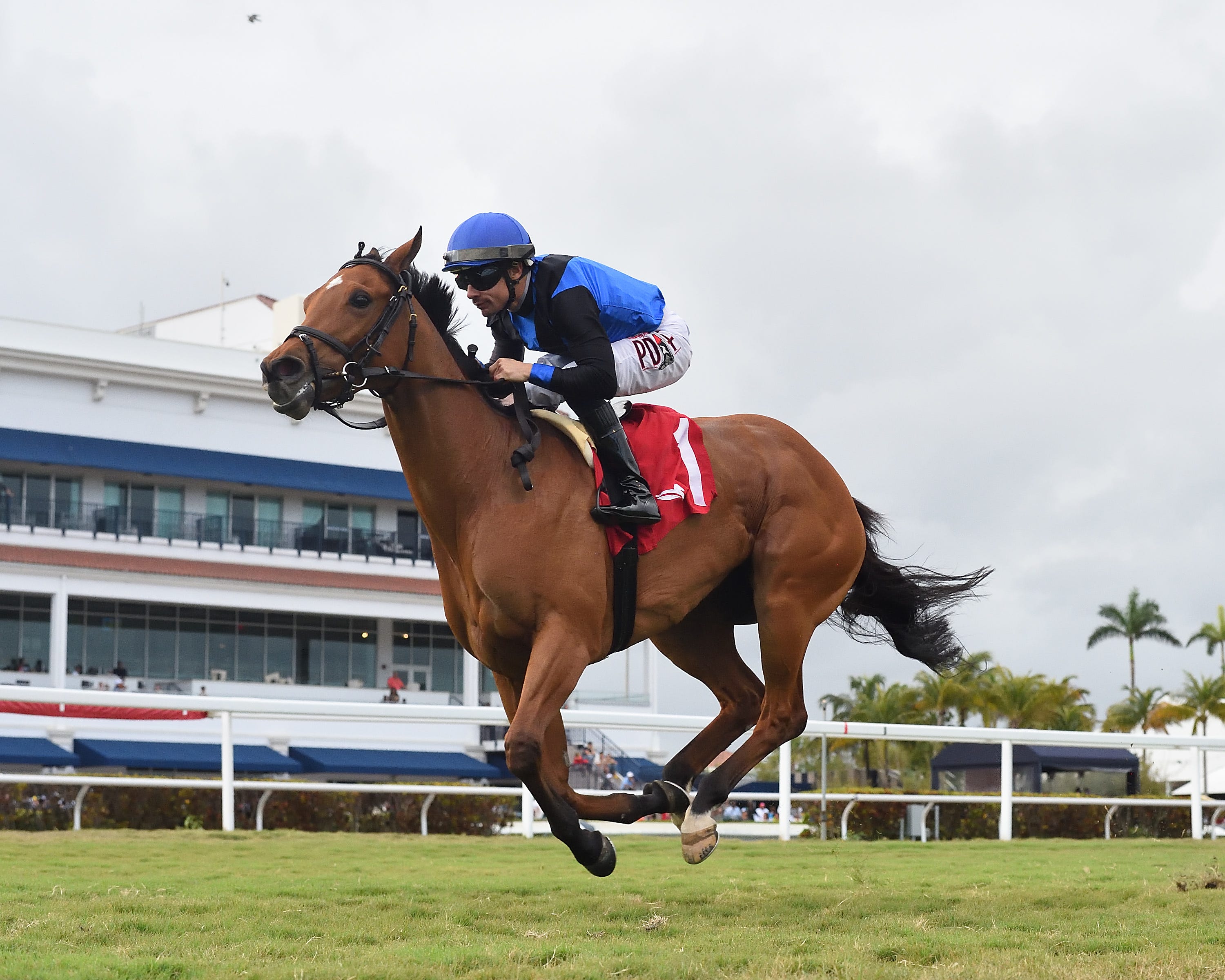 Stone Silent's speed carries her to Ladies' Turf Sprint triumph