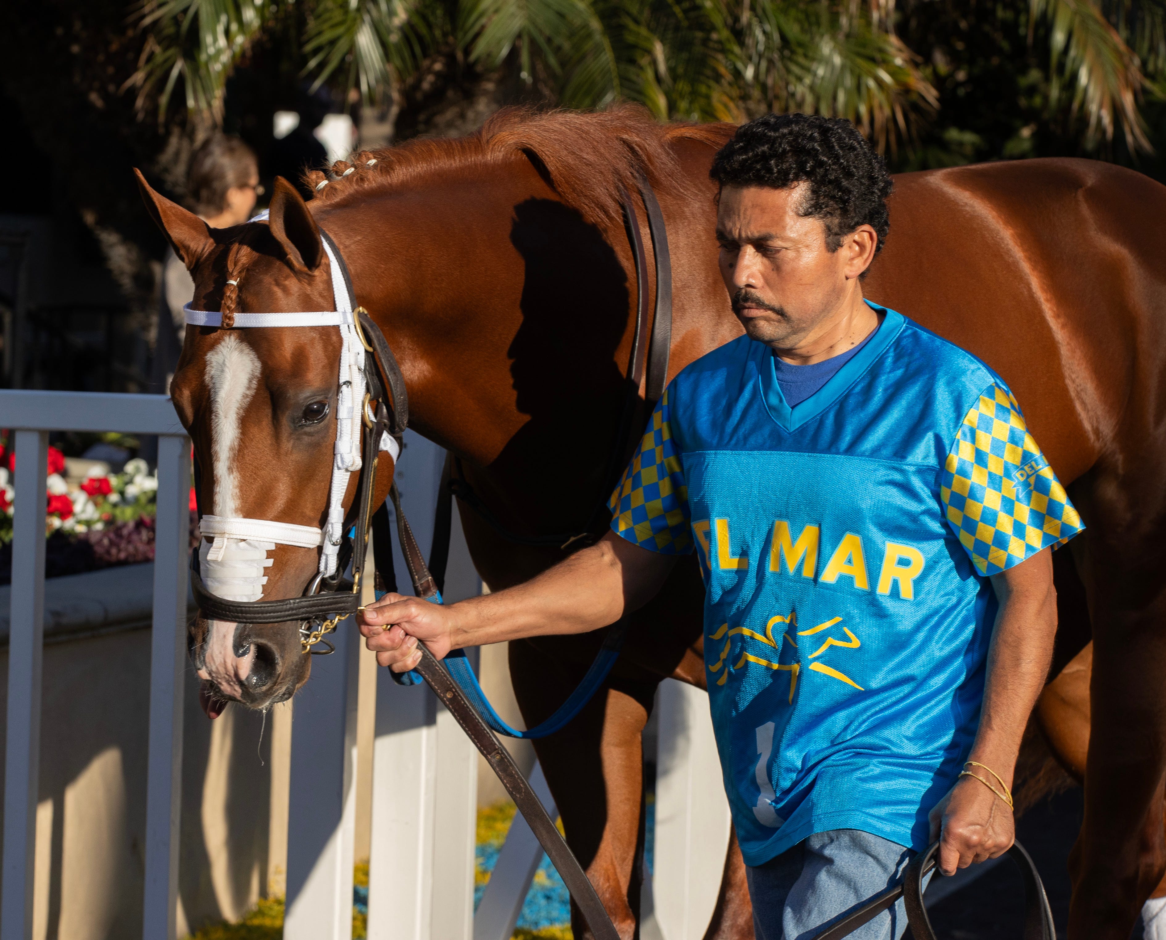 Tejon Pass, Time for Truth possible for Rebel Stakes