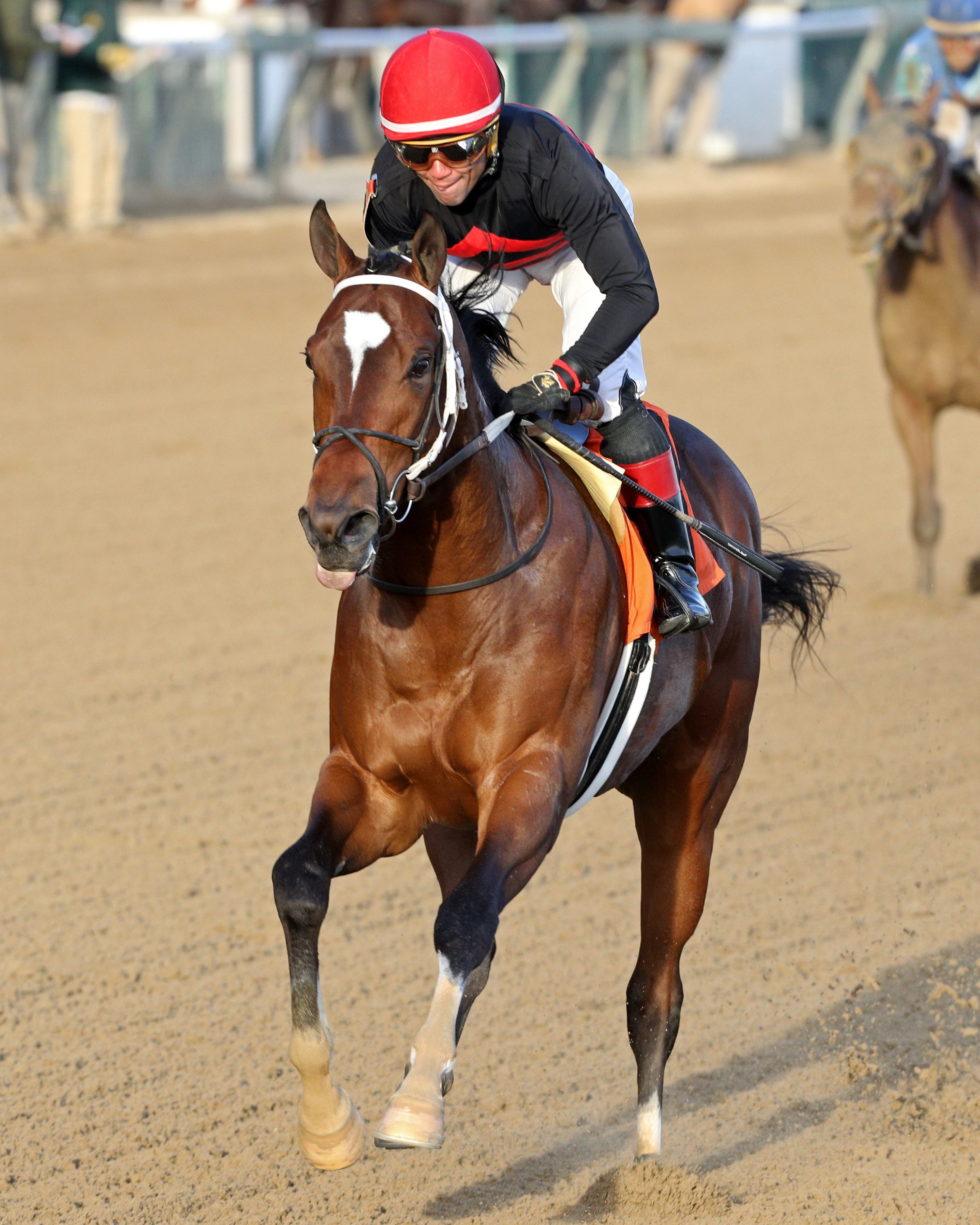 Track Phantom draws post 11 for Risen Star