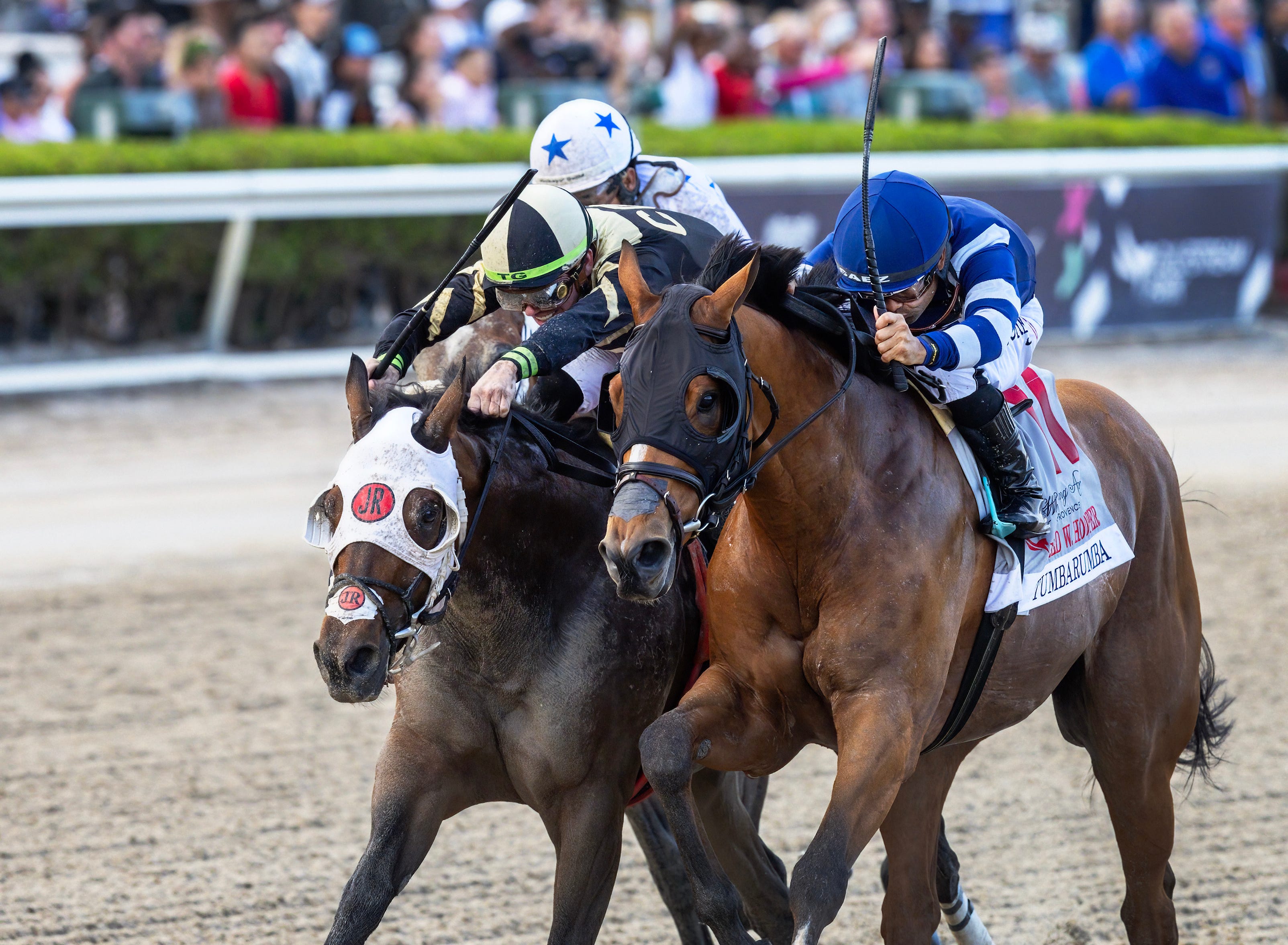 Tumbarumba targets Gulfstream Mile off Hooper win