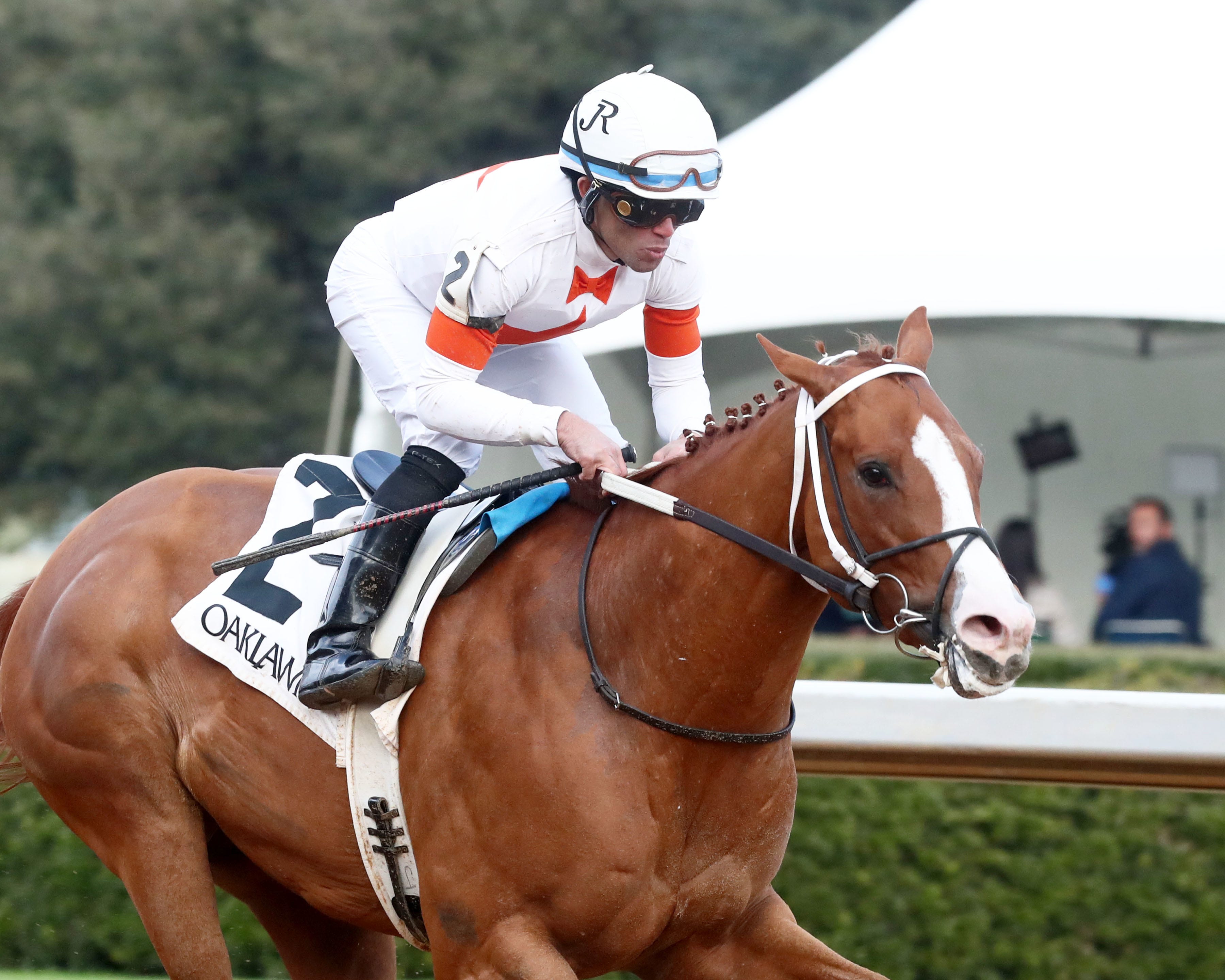 Valentine Candy's versatility may provide edge in Ozark Stakes