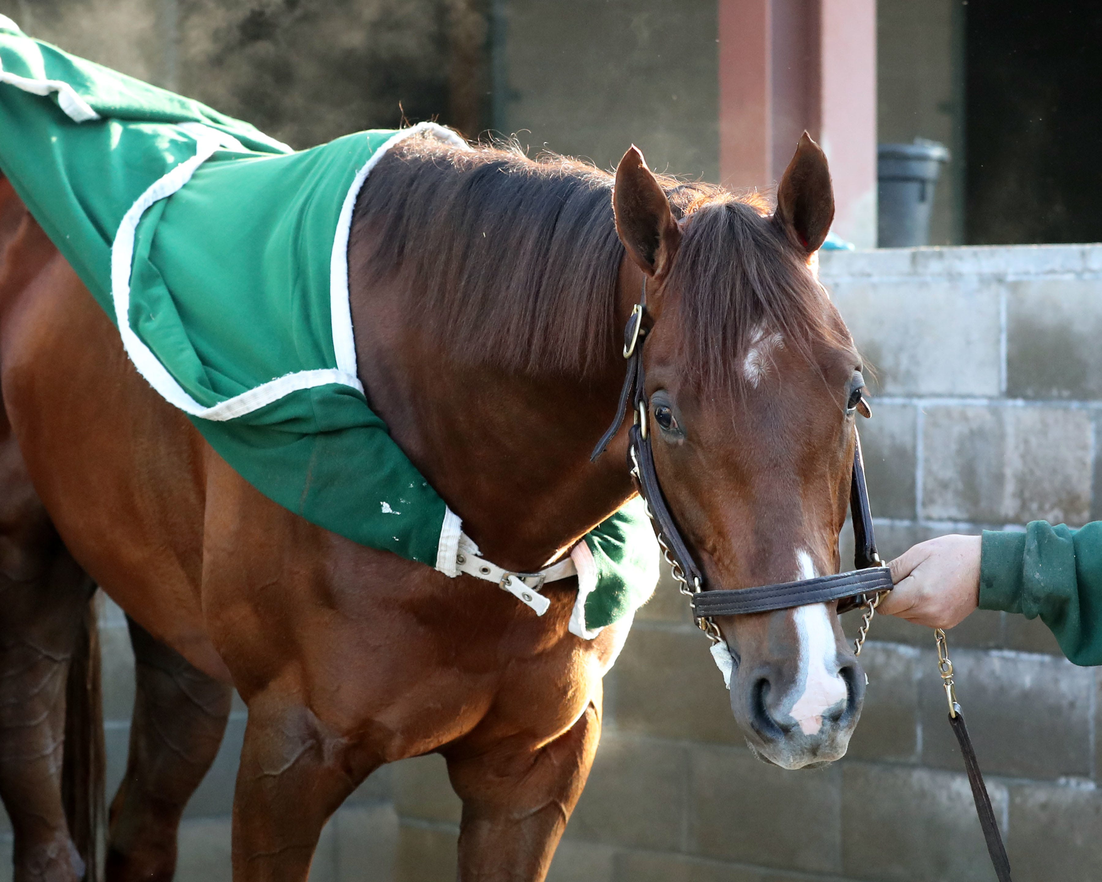 Ben Diesel exits key race, takes on competitive field