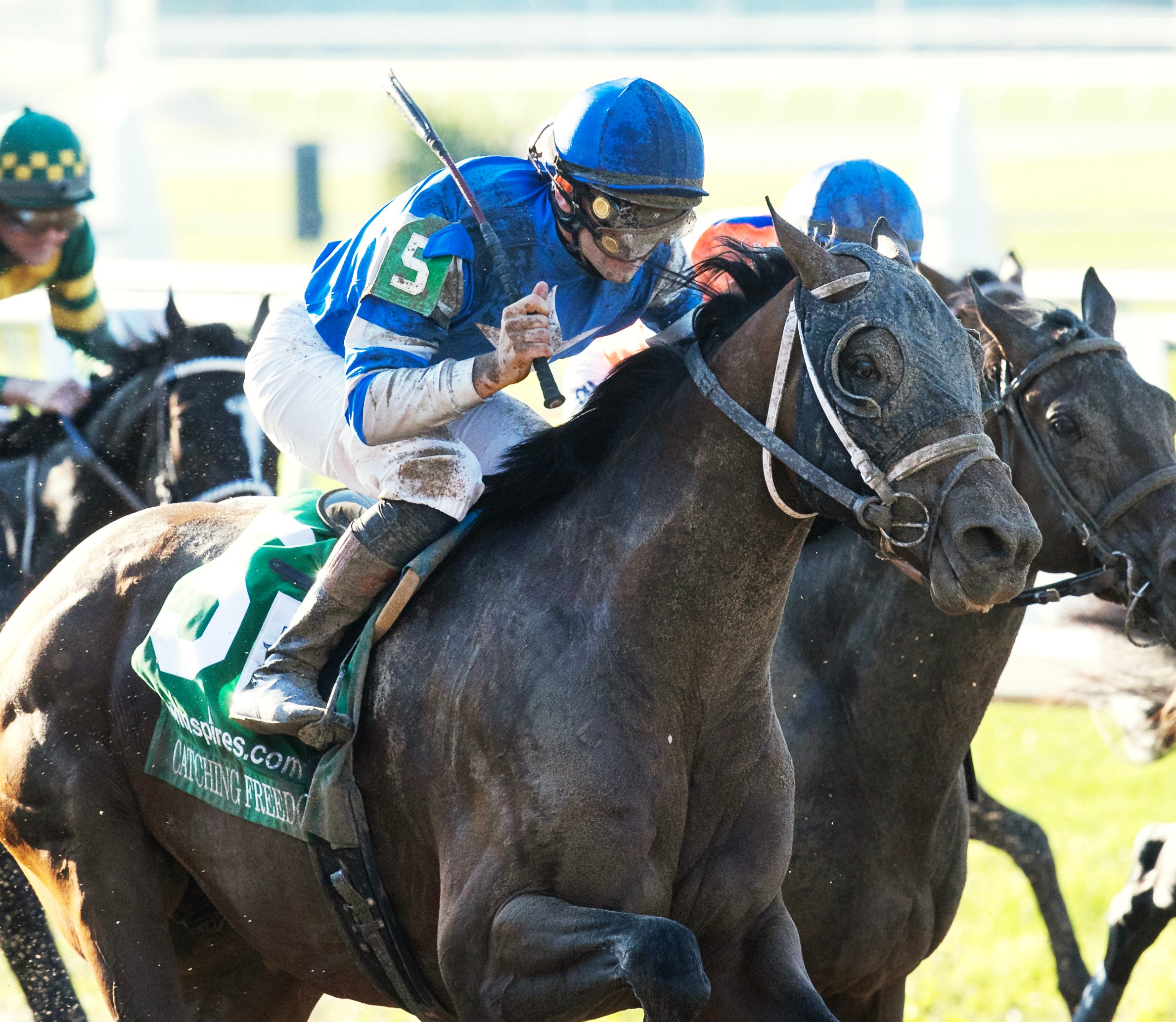 Catching Freedom, with Louisiana Derby win behind him, waits for ...