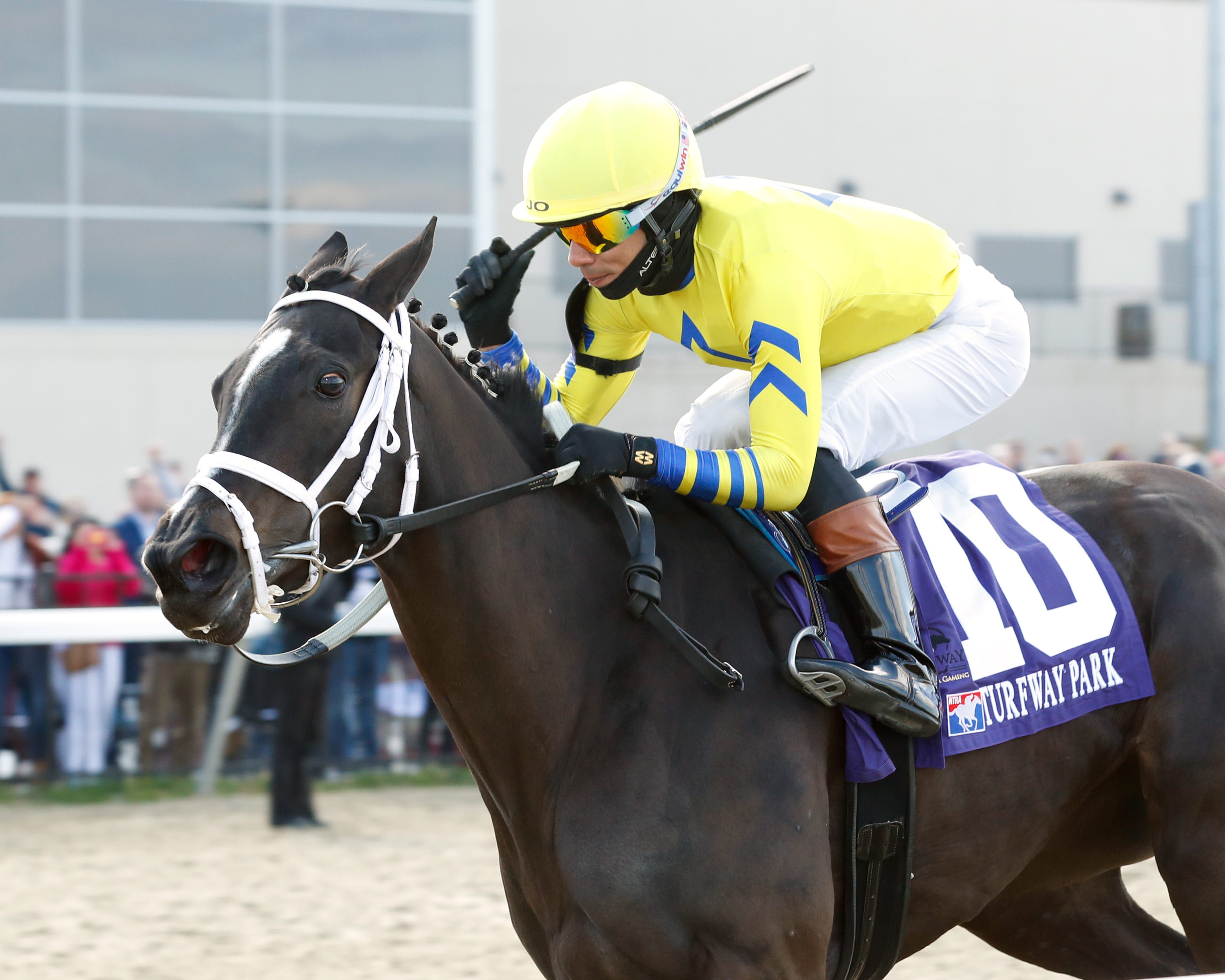 Dana's Beauty ($43.14), in major upset, wires Latonia Stakes