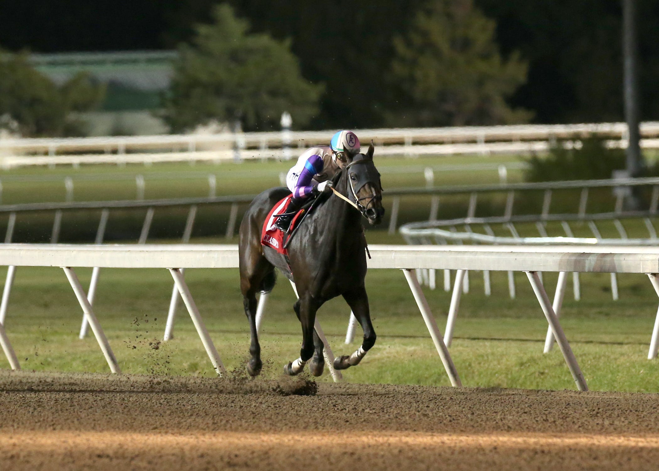 Dicey tries for second victory in Miranda Diane