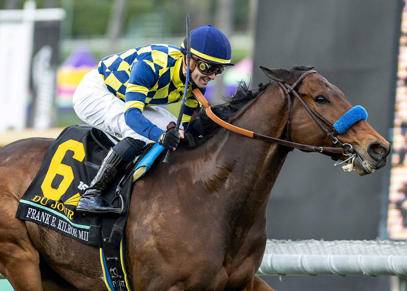 Du Jour reaches millionaire status with Kilroe Mile win
