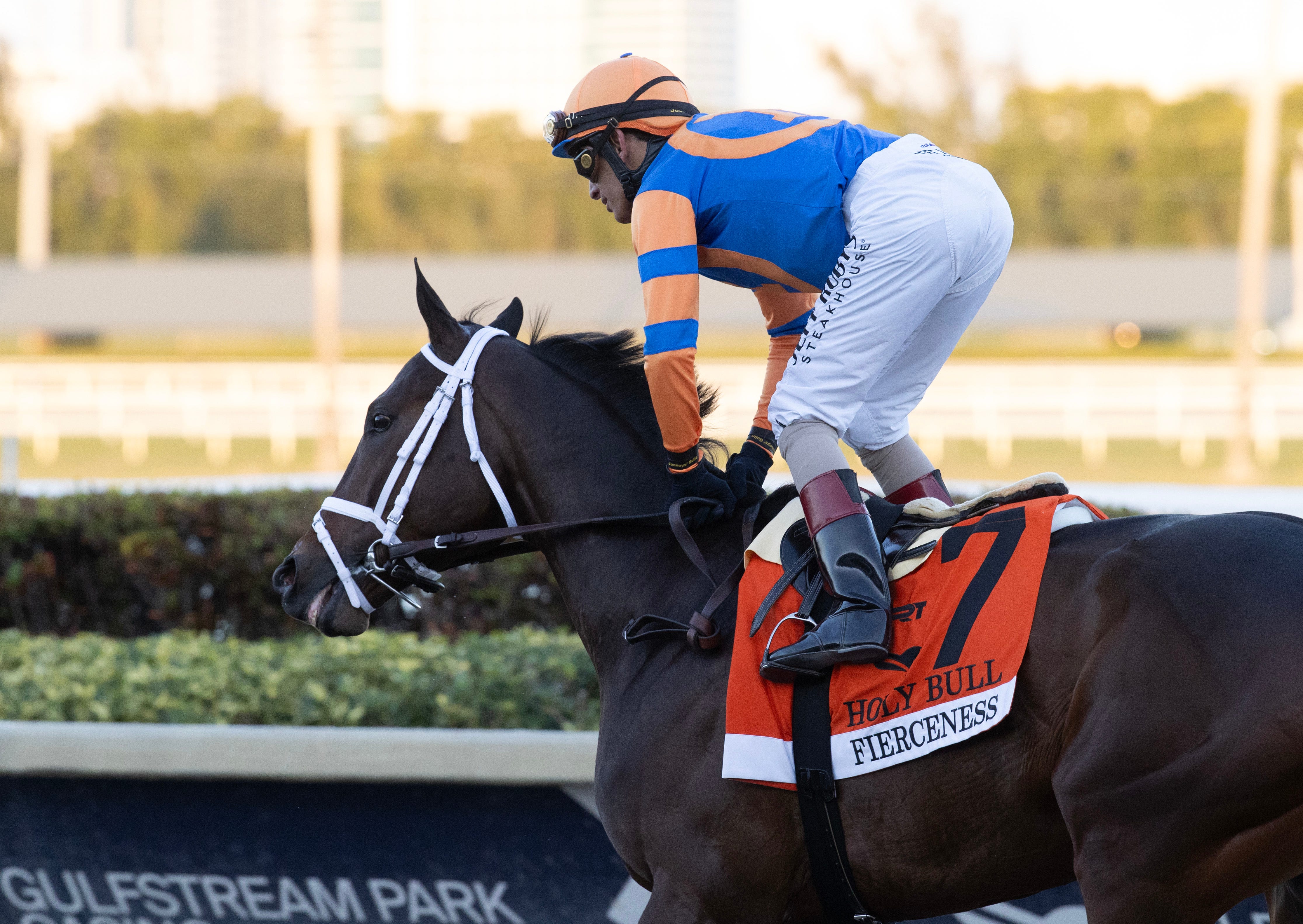 Fierceness draws outside post, made morning-line favorite for Florida Derby