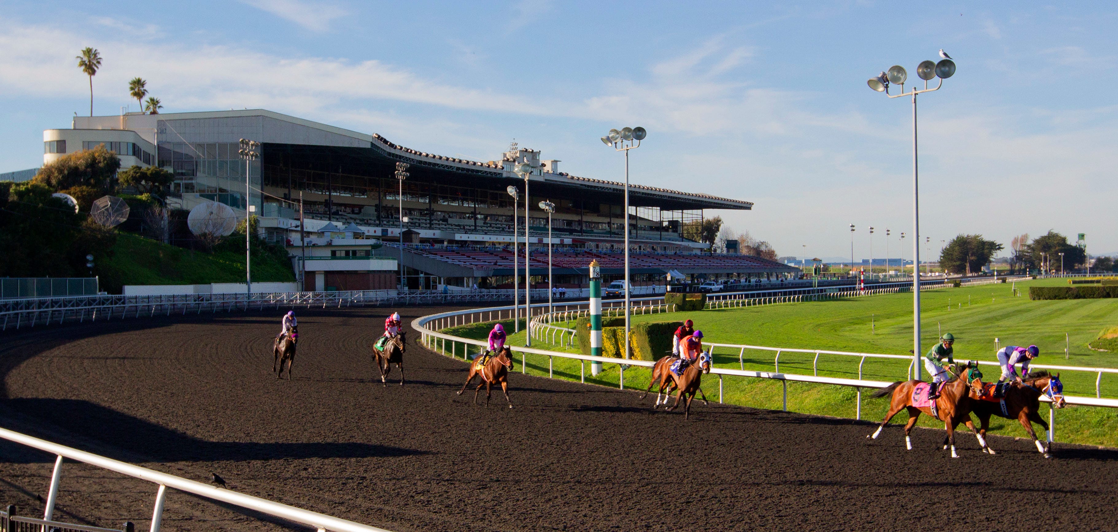 Golden Gate to open turf course in April