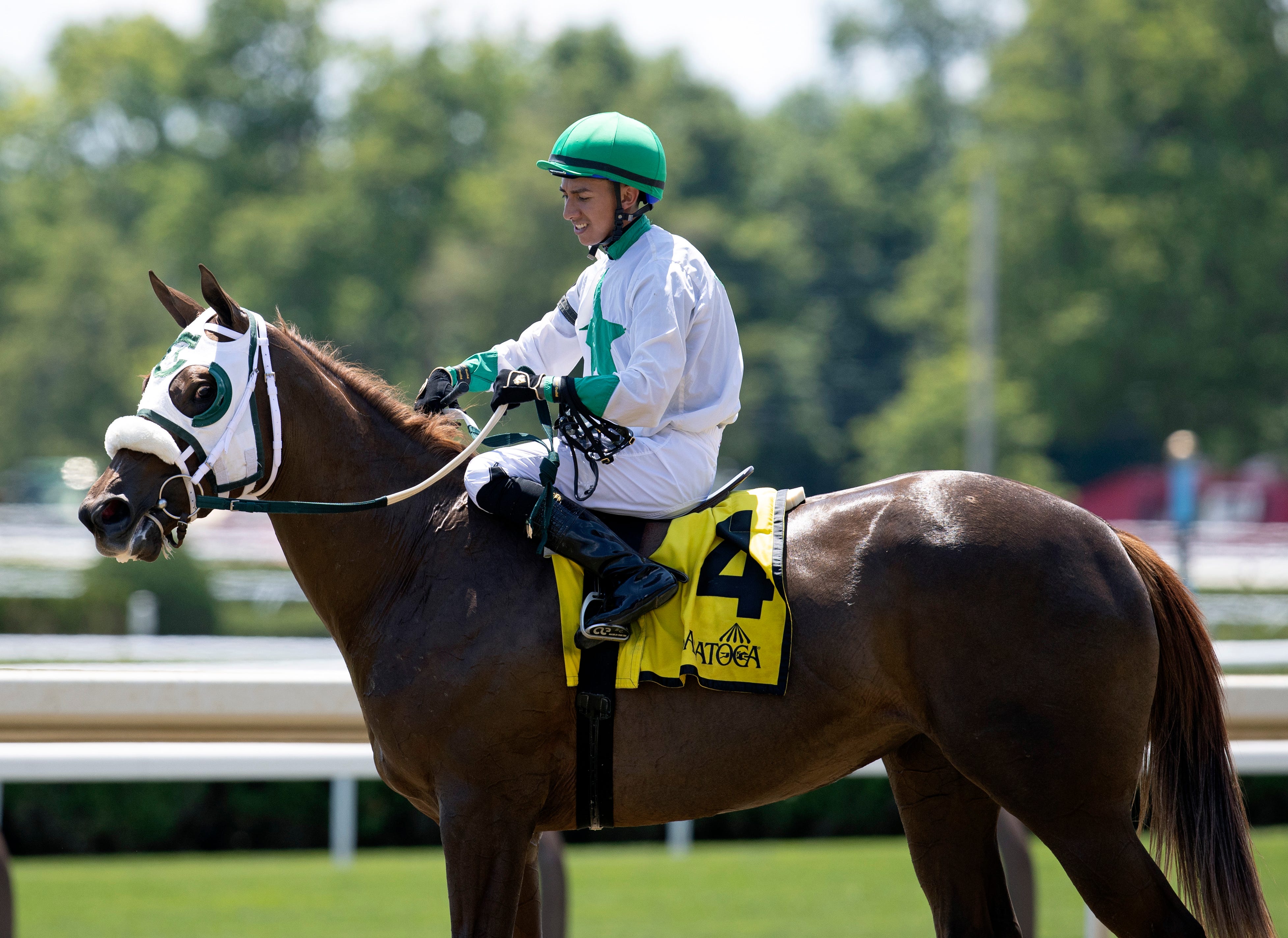 Lady Mine should get preferred wet track in Biogio's Rose