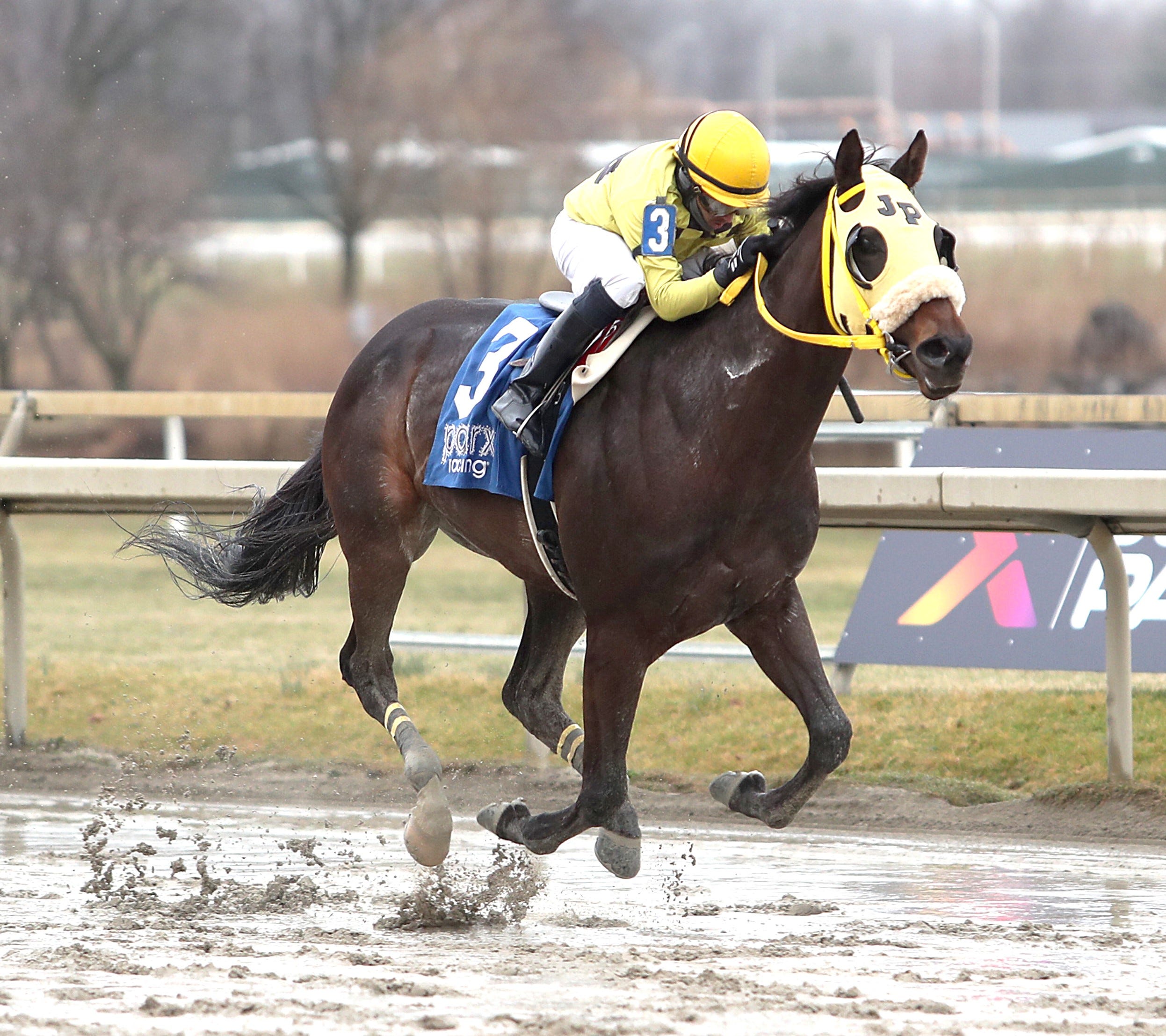 Wet track-loving Lonesome Boy upsets City of Brotherly Love Stakes