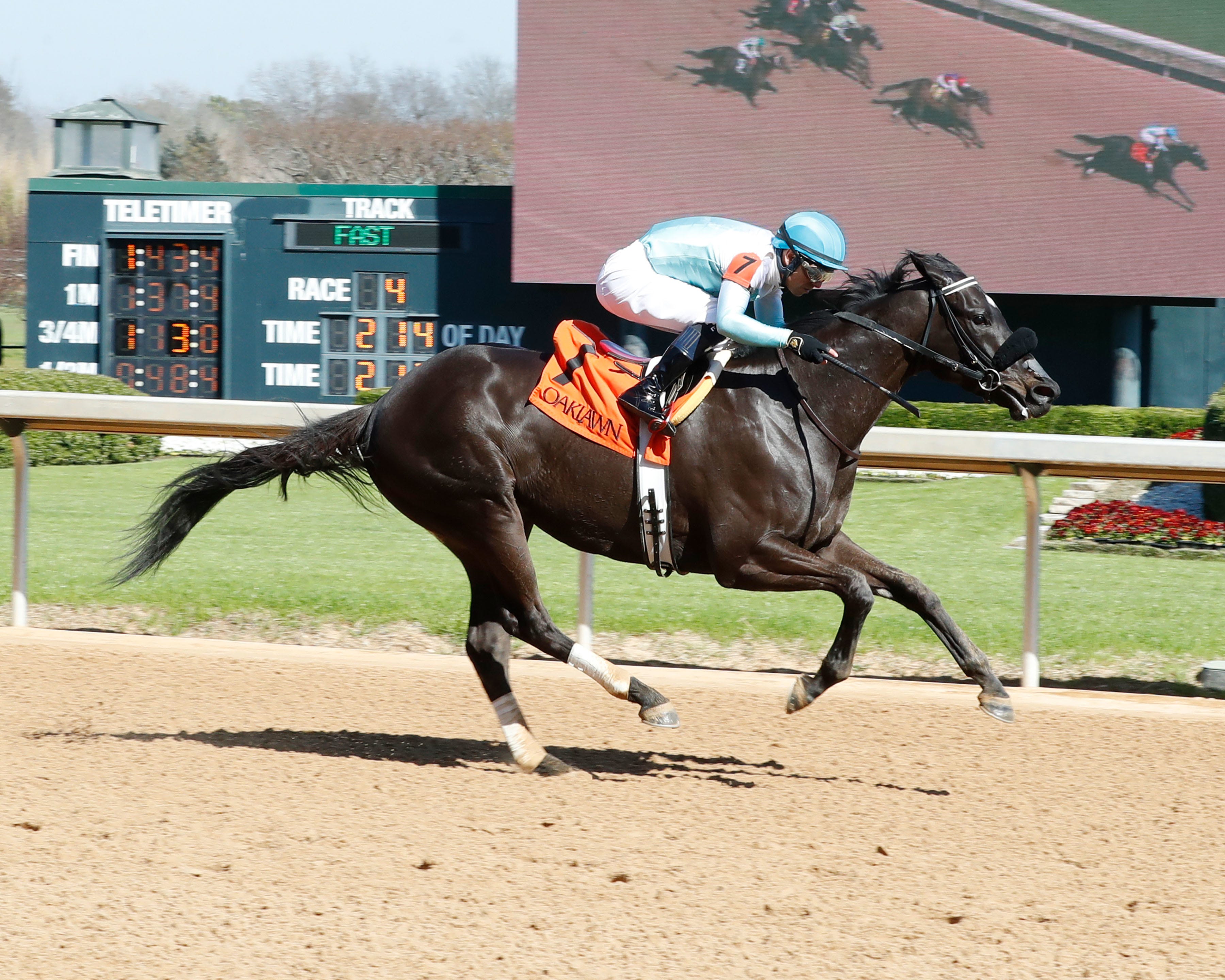 Midnight Rising looks to remain perfect on dirt in Oaklawn Mile
