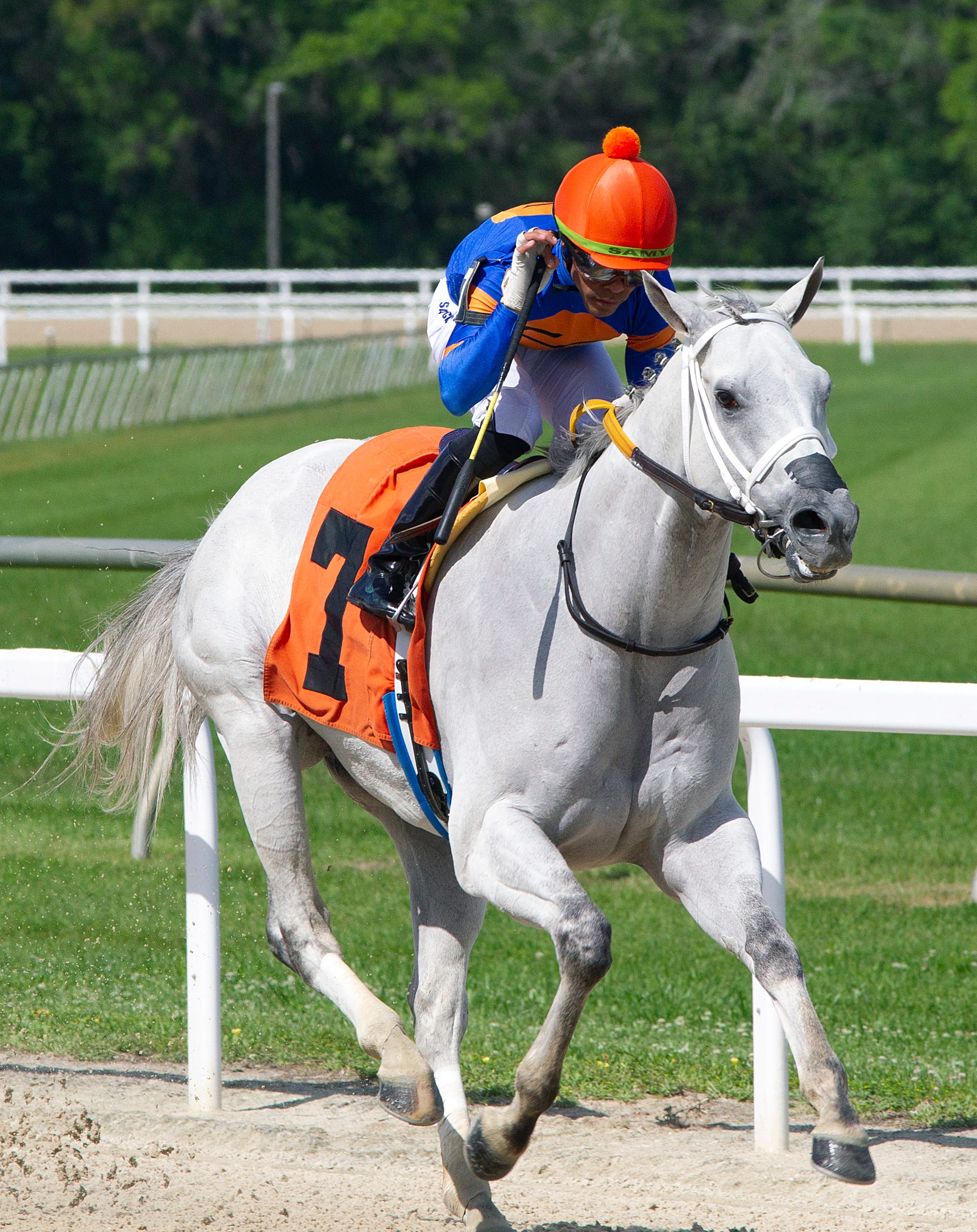 Trainers Joseph, Trombetta, Fawkes, each notch doubles at Florida Cup Day