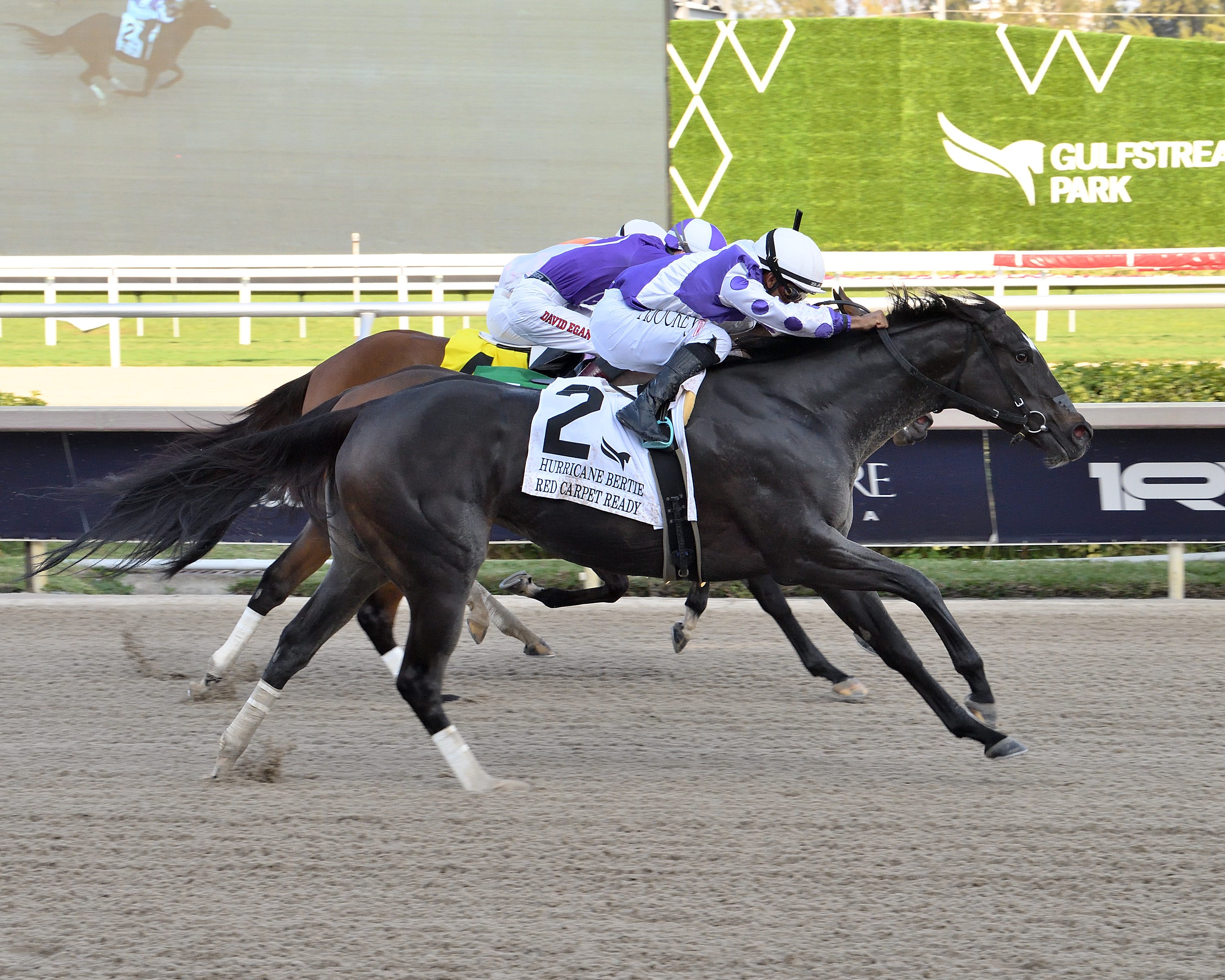 Red Carpet Ready storms out of layoff to Hurricane Bertie triumph