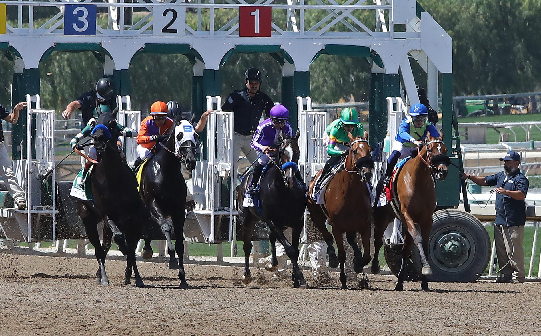 DRF's Horse Racing Playbook for Friday, September 27, 2024