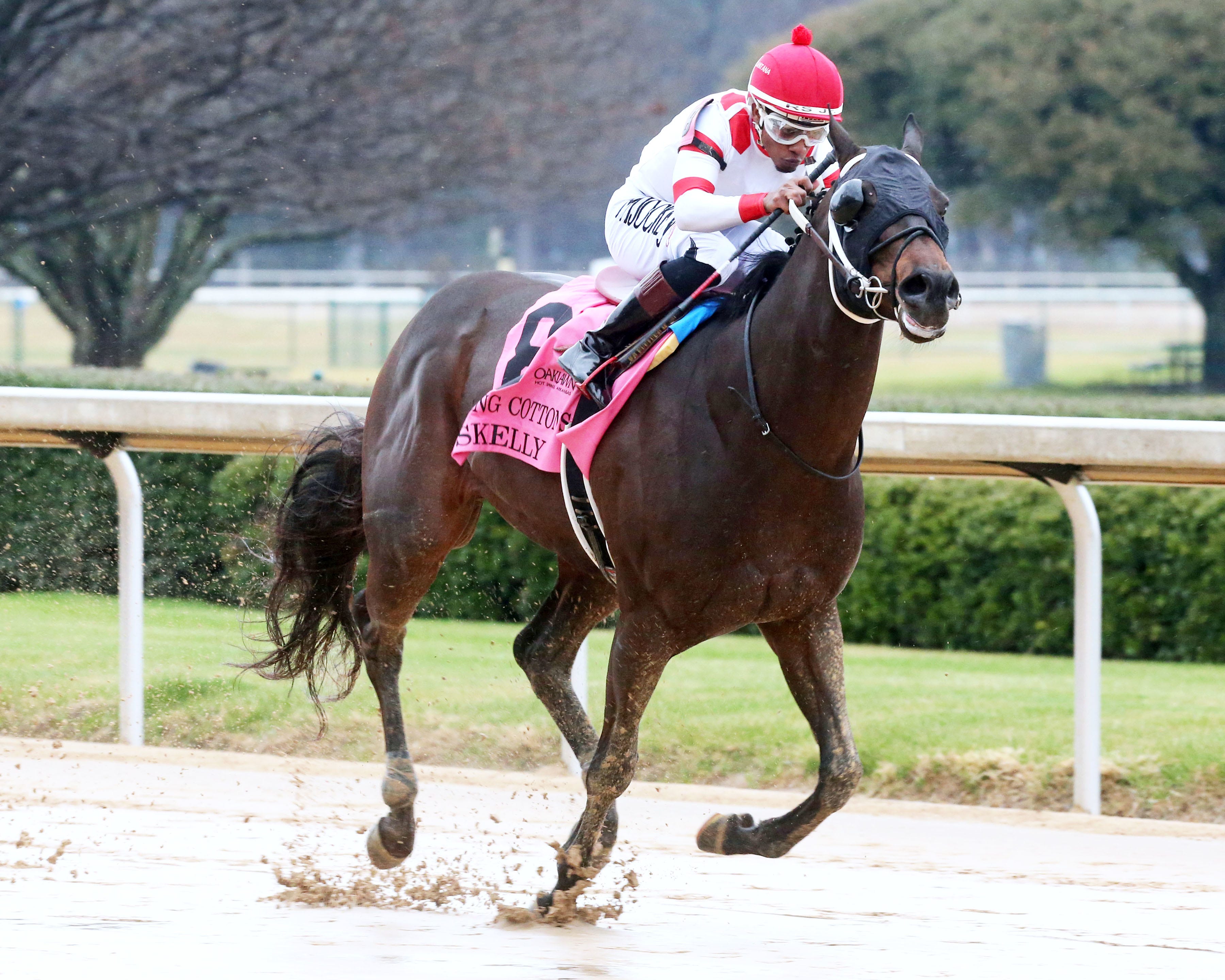 Back from the Middle East, Skelly will defend title in Count Fleet