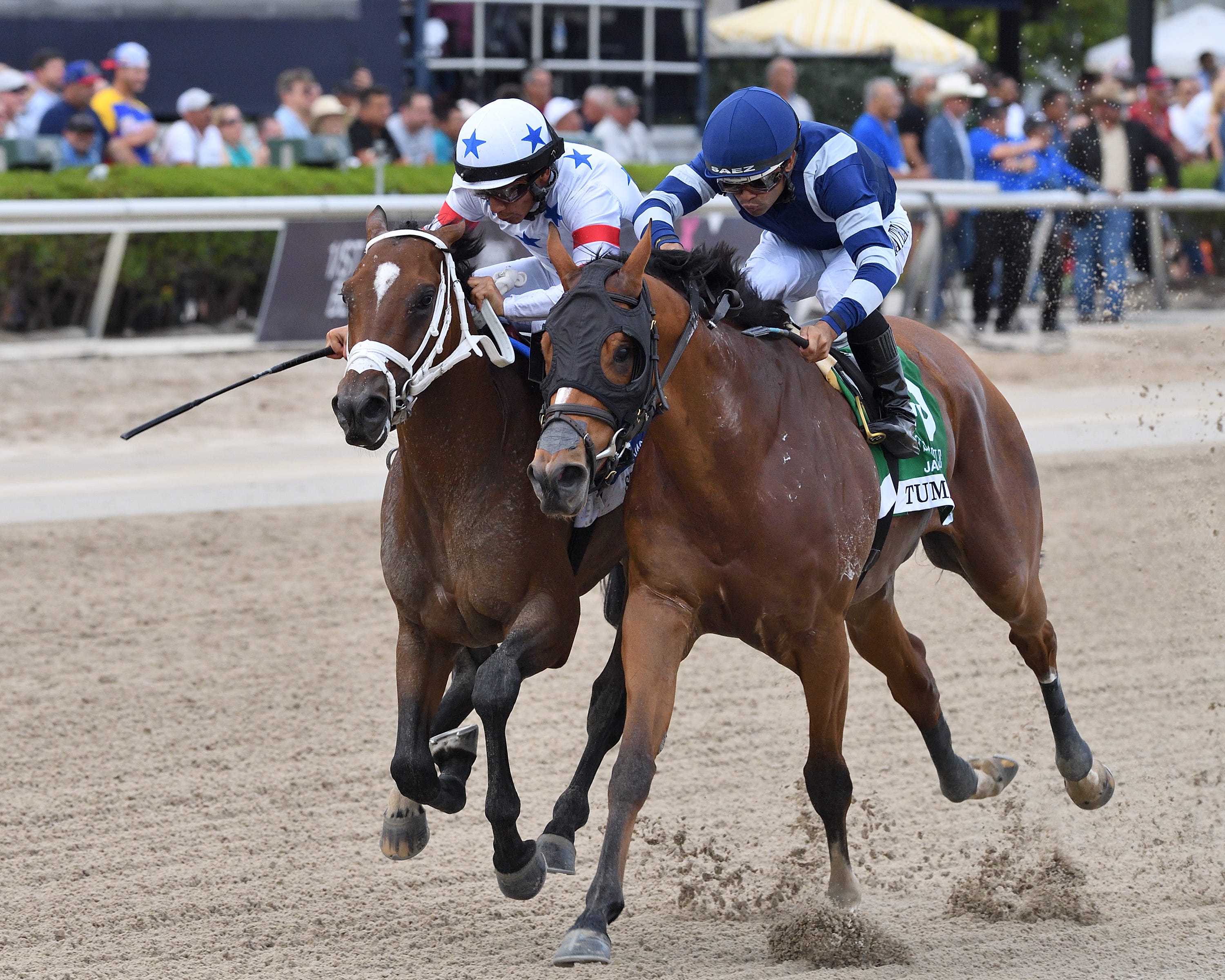 Not much separating Tumbarumba, Steal Sunshine in Ghostzapper Stakes