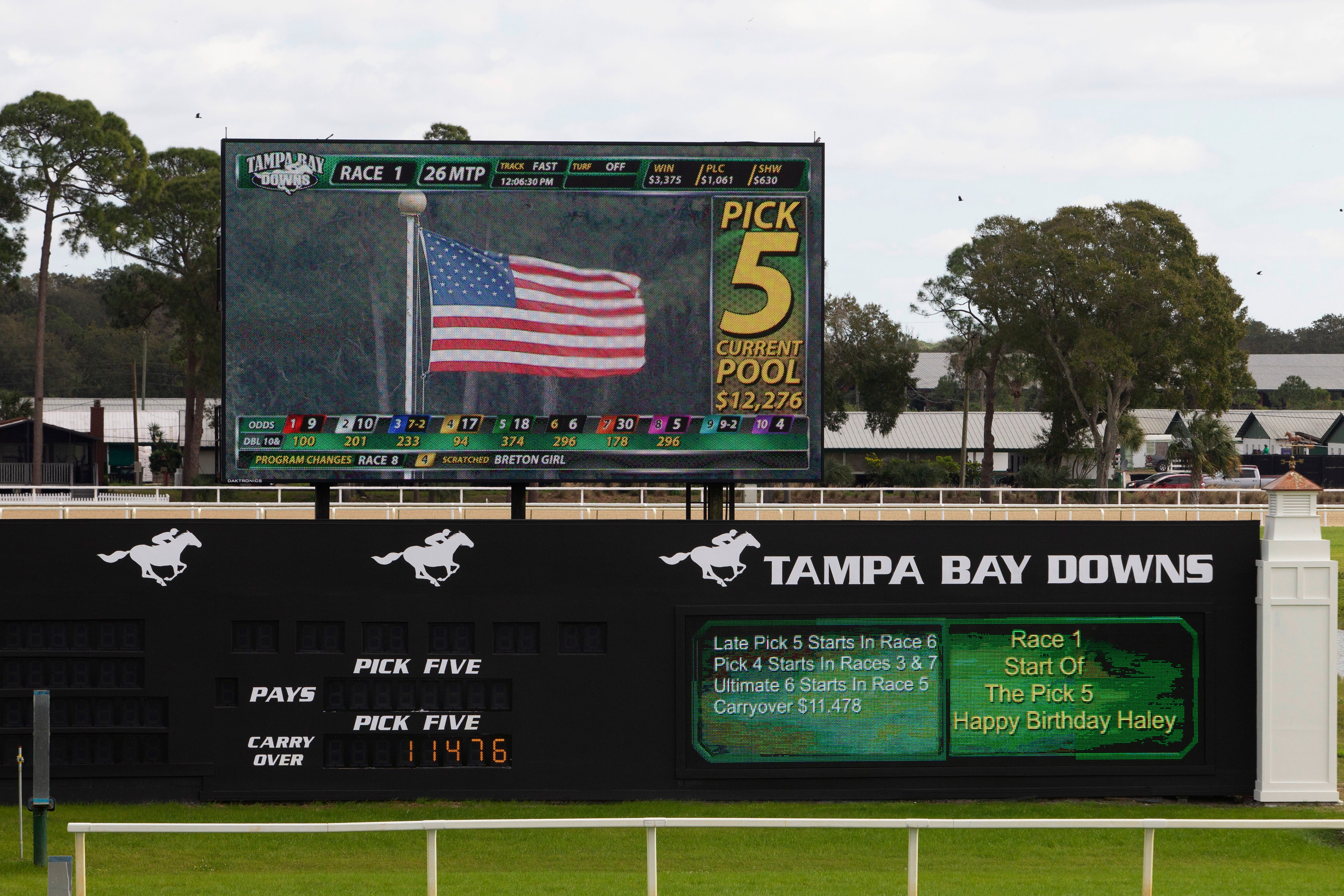 Communications outage led to tote issues at Tampa Bay Downs, officials say