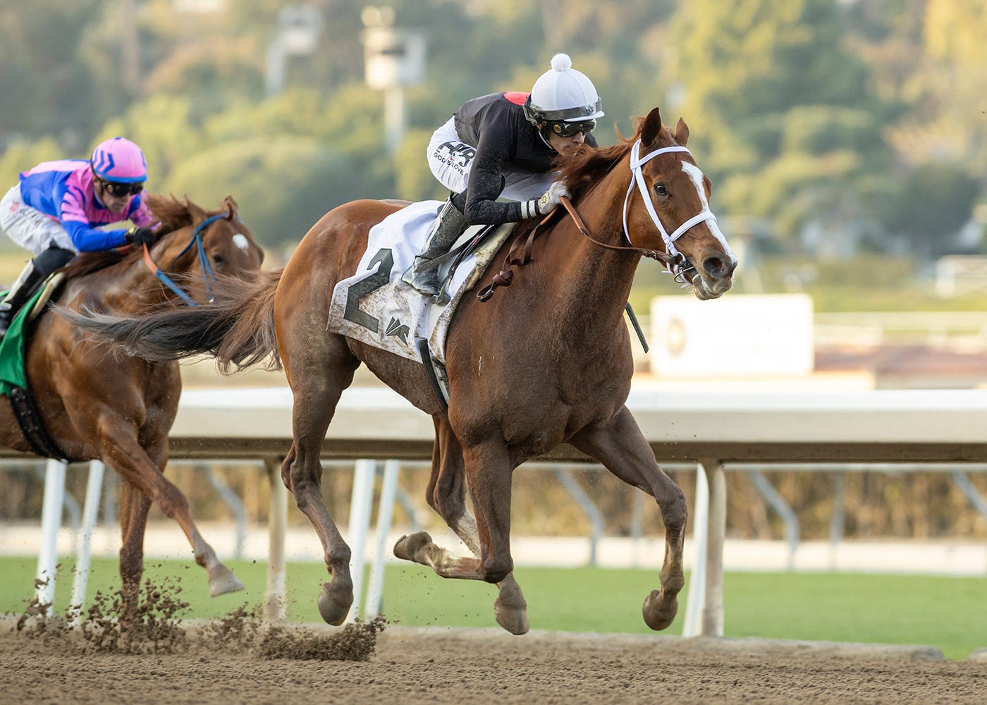 The Chosen Vron takes top California-bred honors