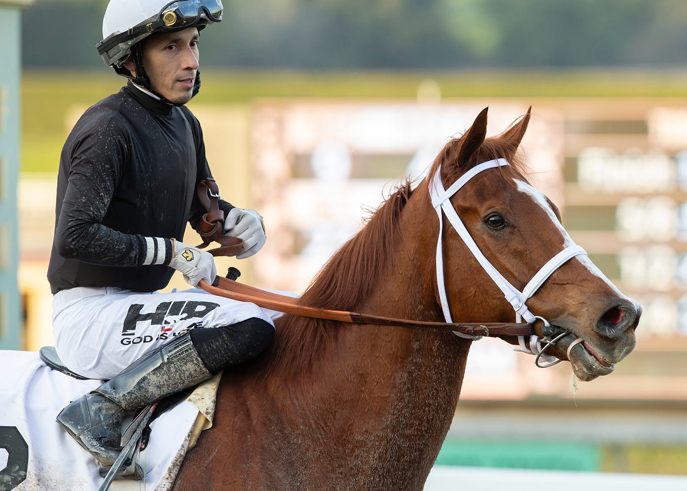 The Chosen Vron looks to continue his dominance in San Carlos