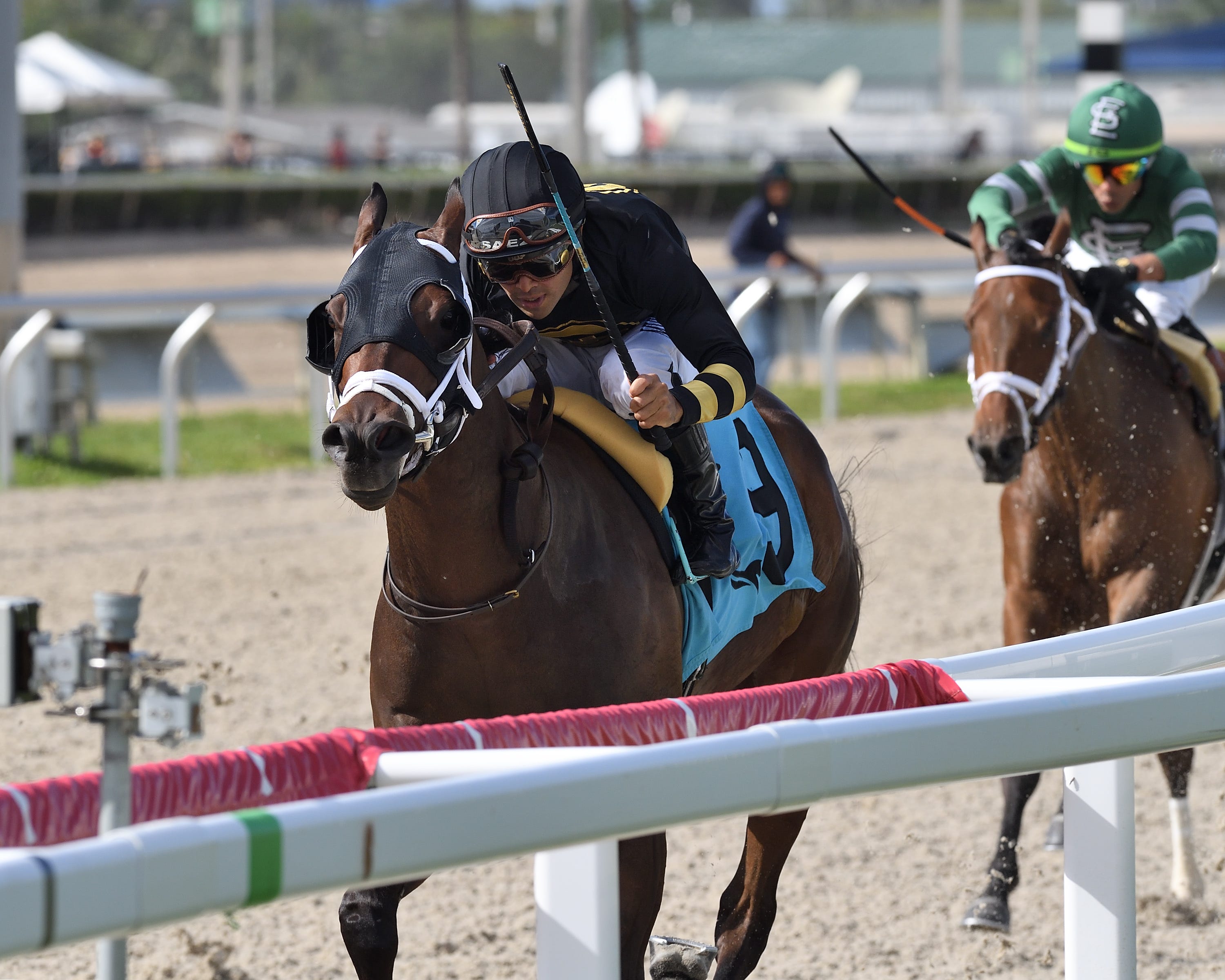 Twirling Queen finds home on Tapeta, wins Melody of Colors