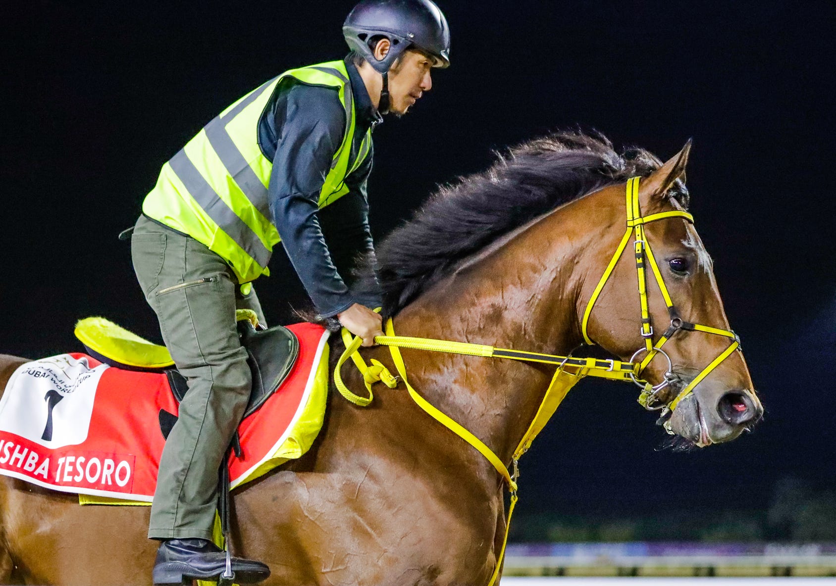 Ushba Tesoro, Derma Sotogake make comeback starts against one another