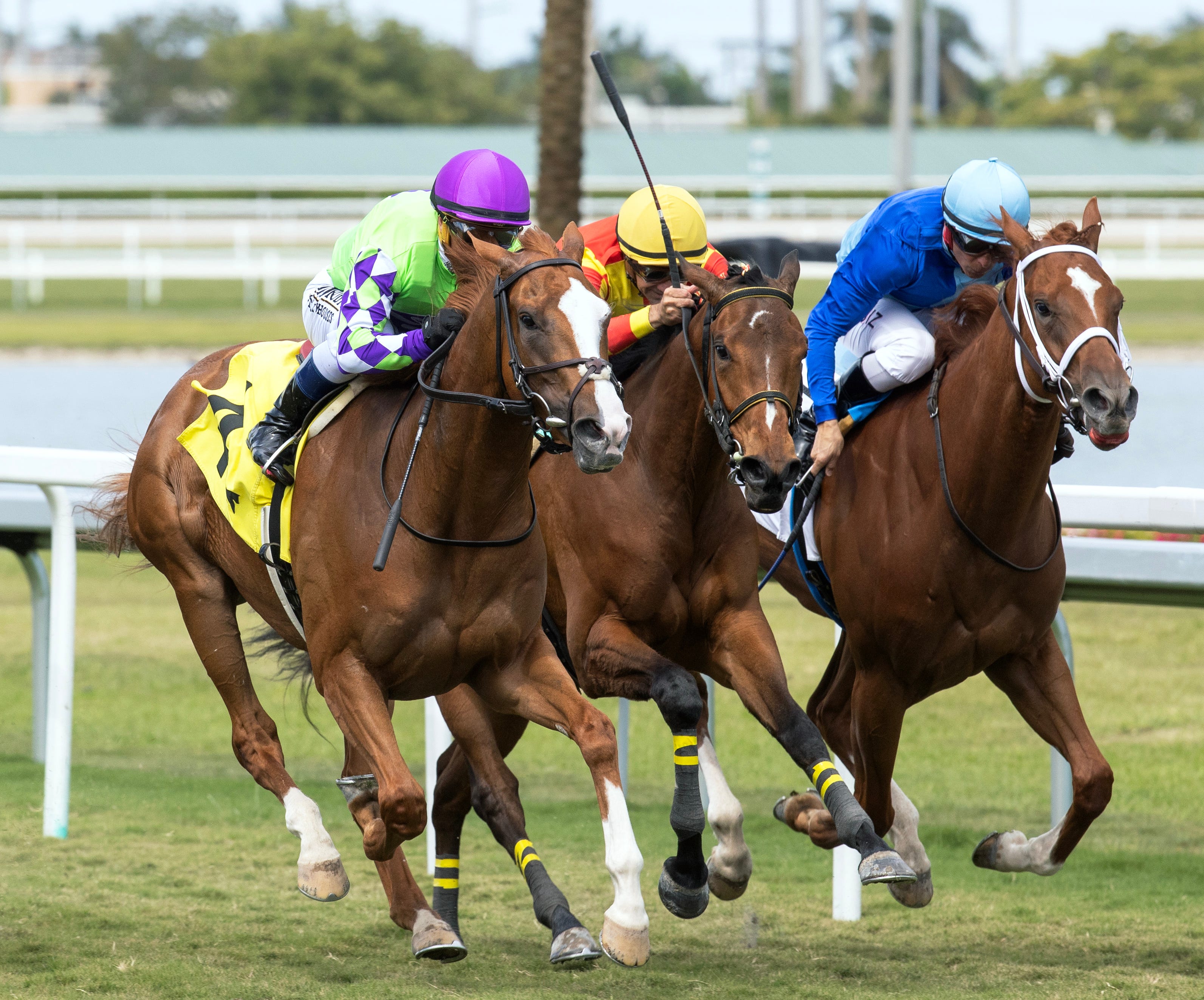 Vive Veuve splits horses twice to take Sanibel Island