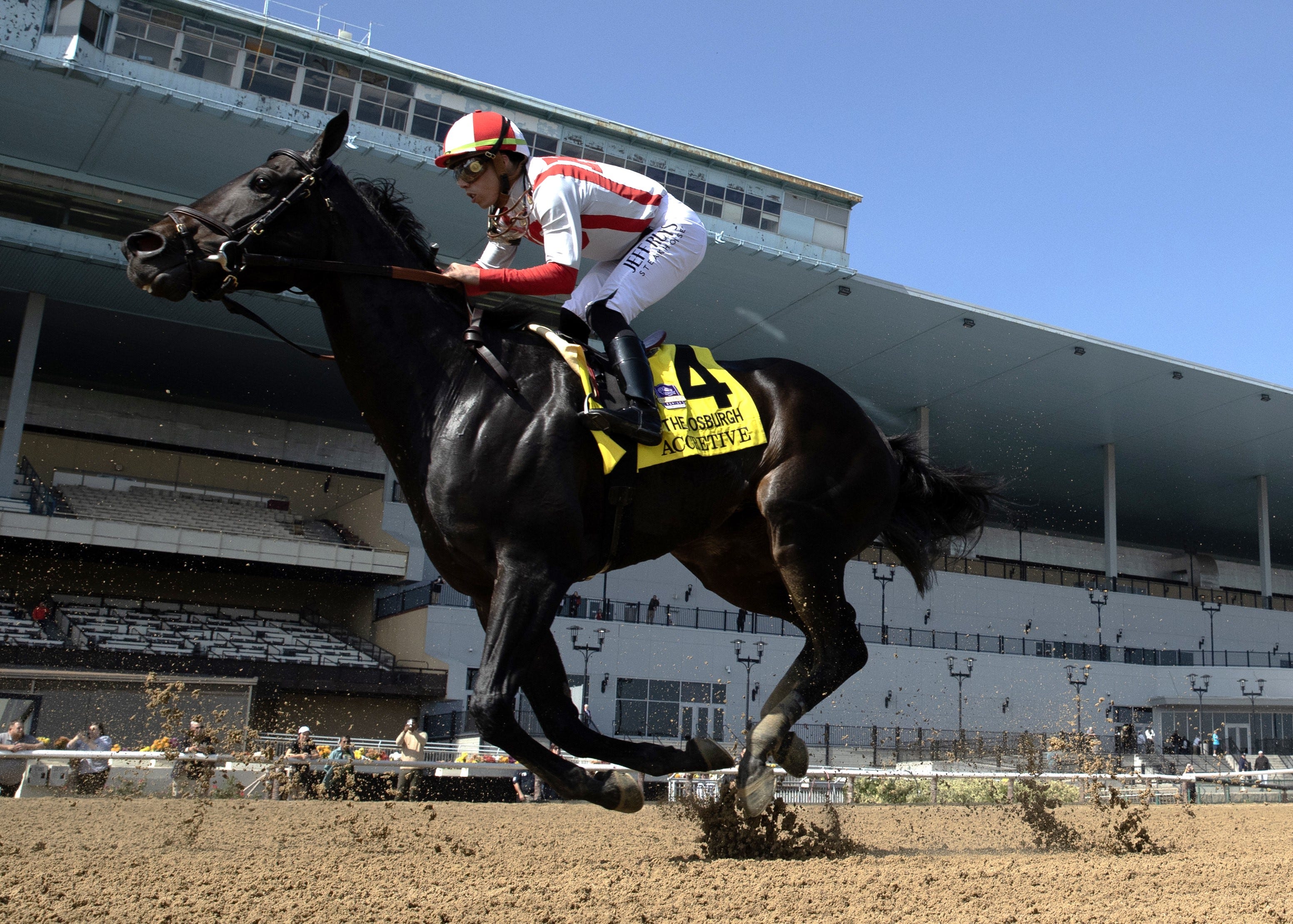Accretive, Maker's Candy better than their last races indicate