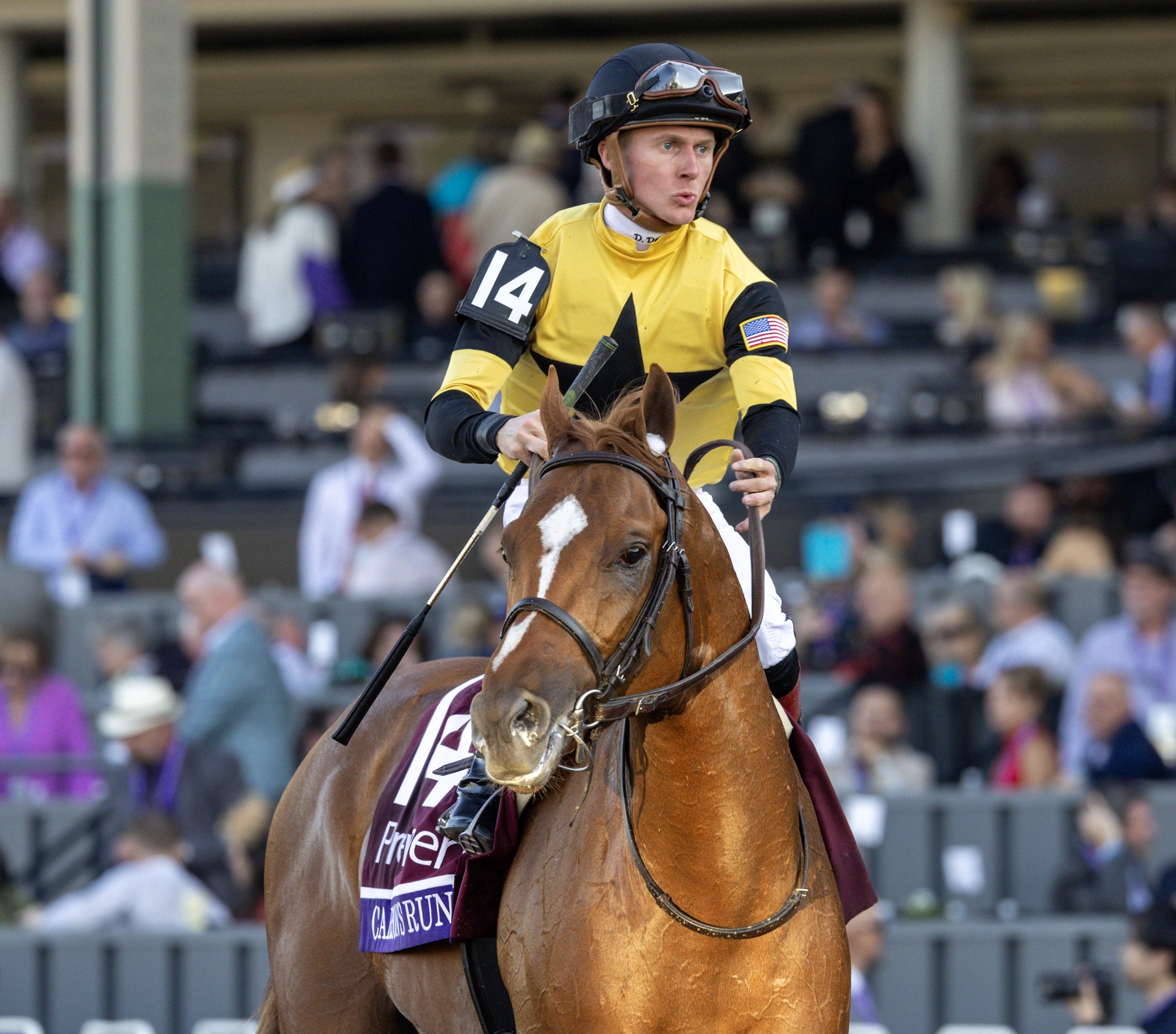 After promising juvenile campaign, Carson's Run returns in Woodhaven Stakes