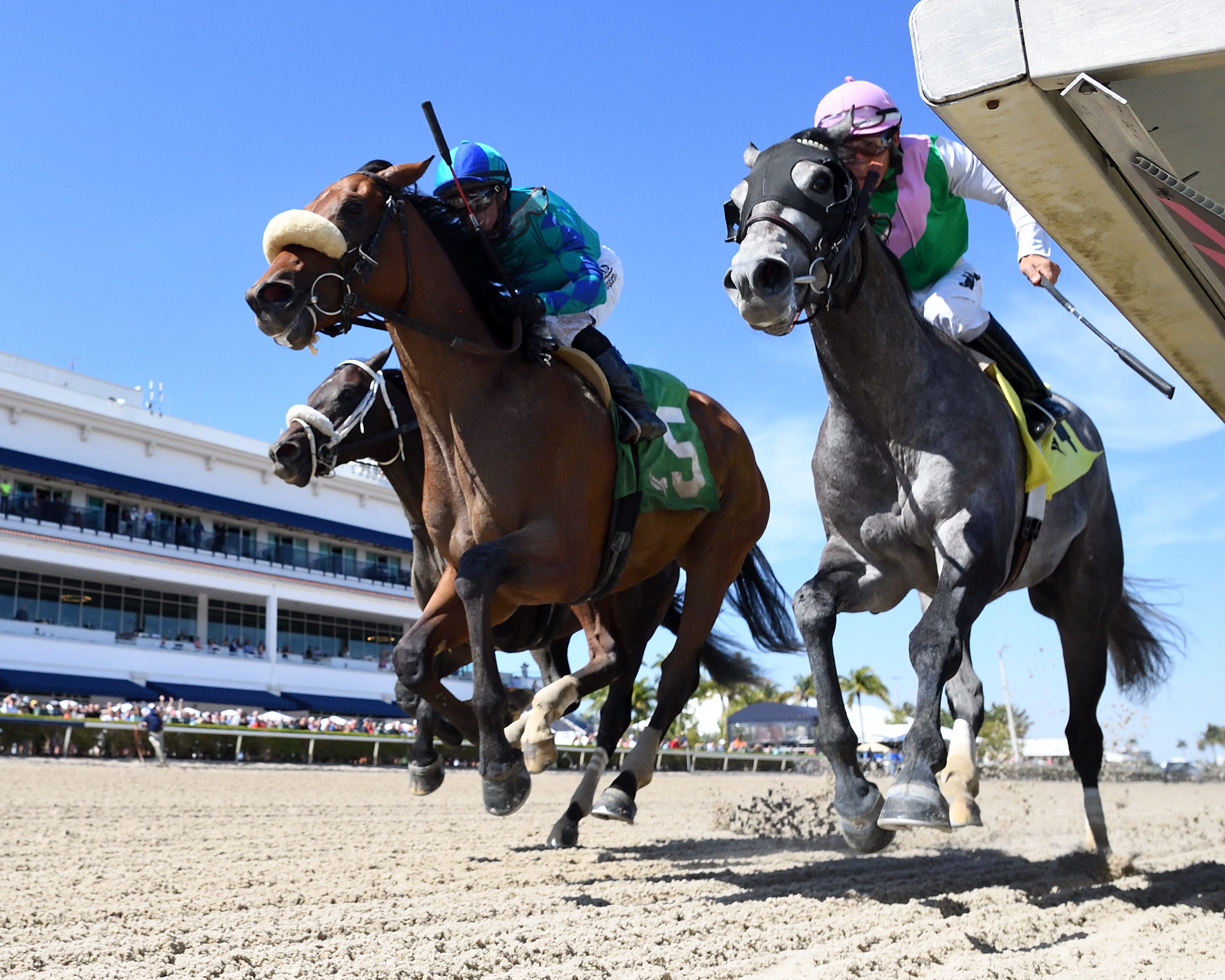 Corporate Power tries winners in field of five