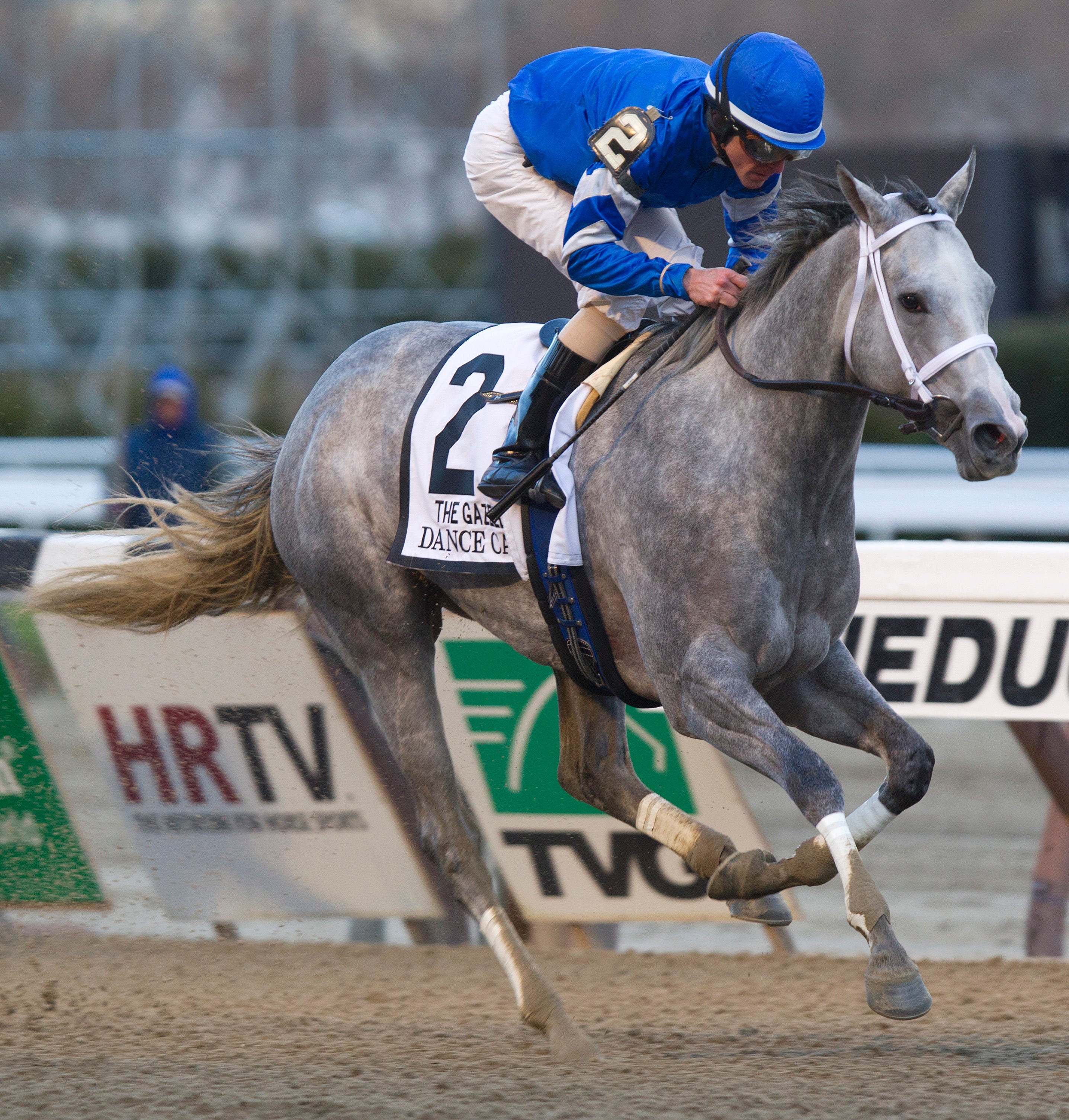 Dance Card, dam of Cody's Wish, named Kentucky broodmare of the year
