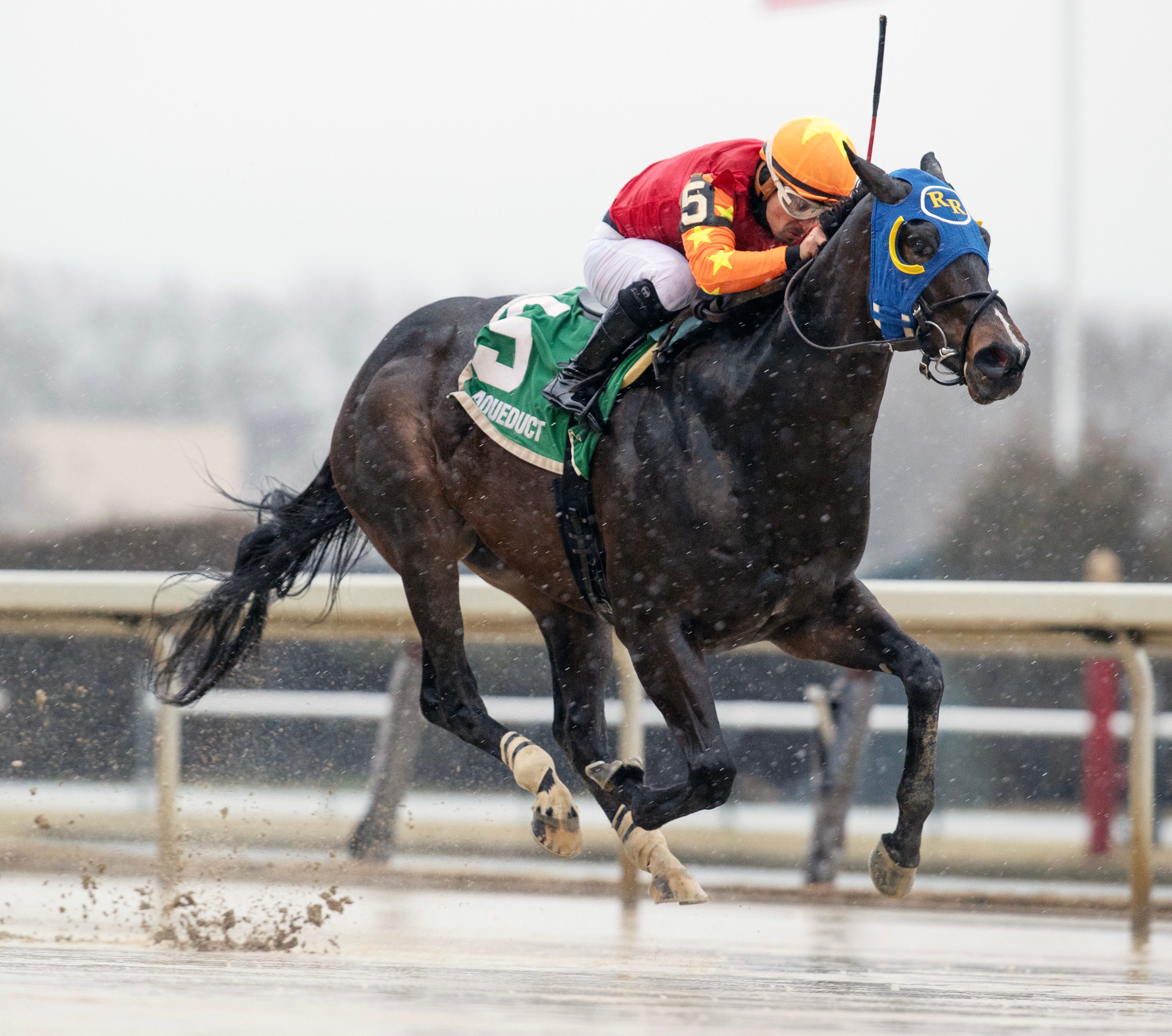 Thrill of It should get plenty of pace to chase