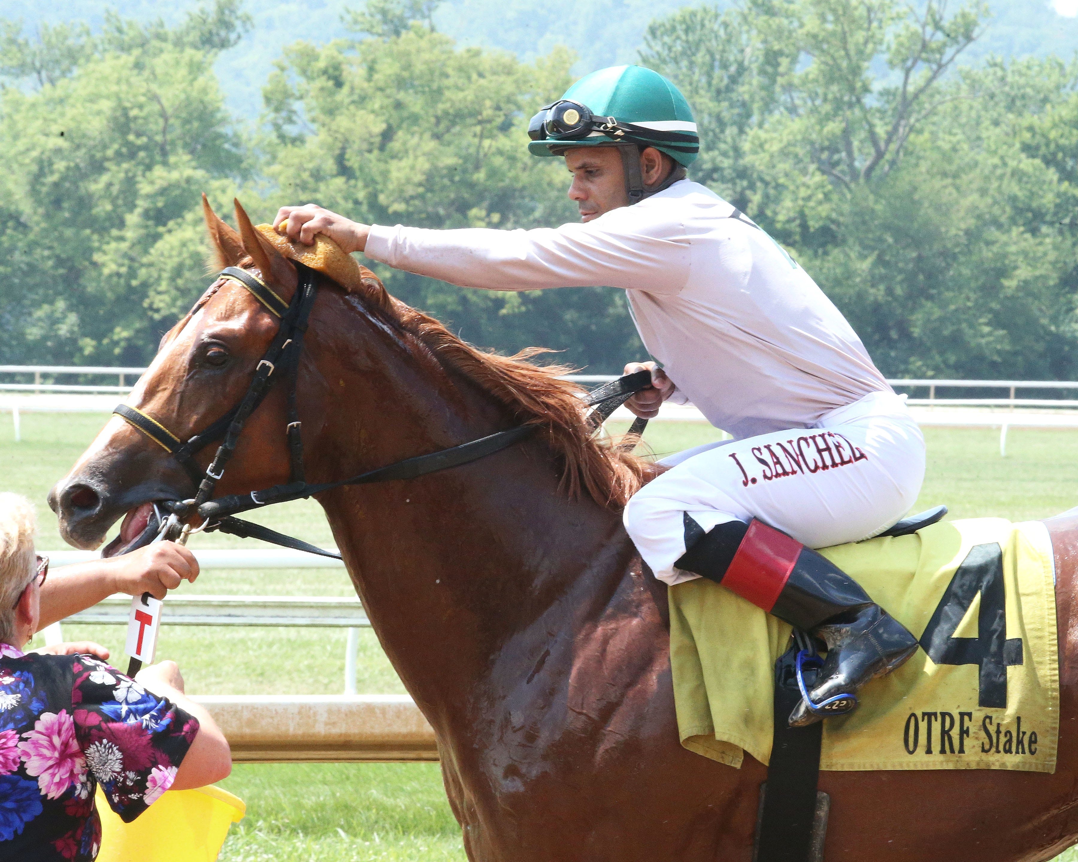 Belterra begins what should be a fun meet for fans