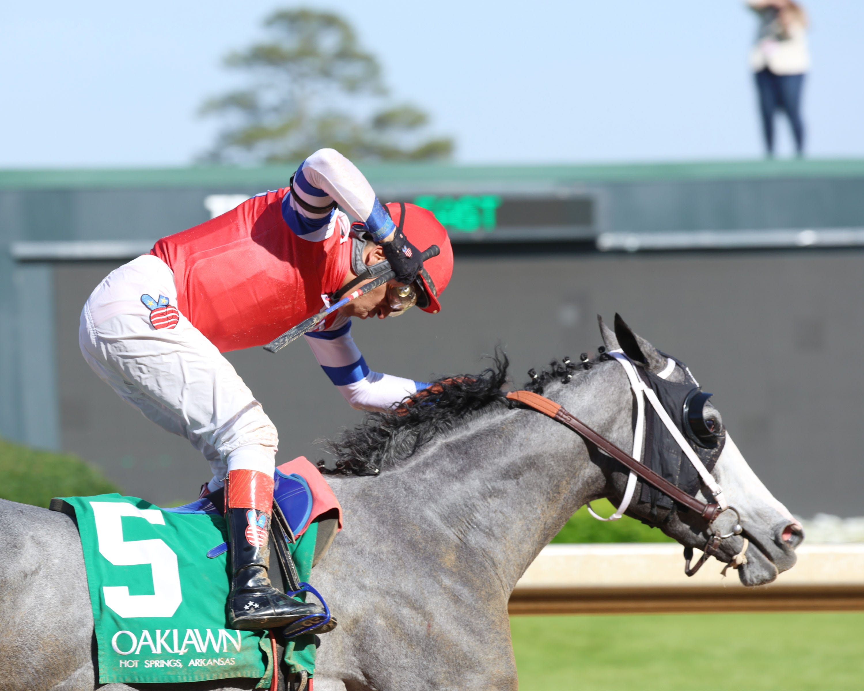 Hush It Honey outduels Haulin Ice to take Rainbow Miss