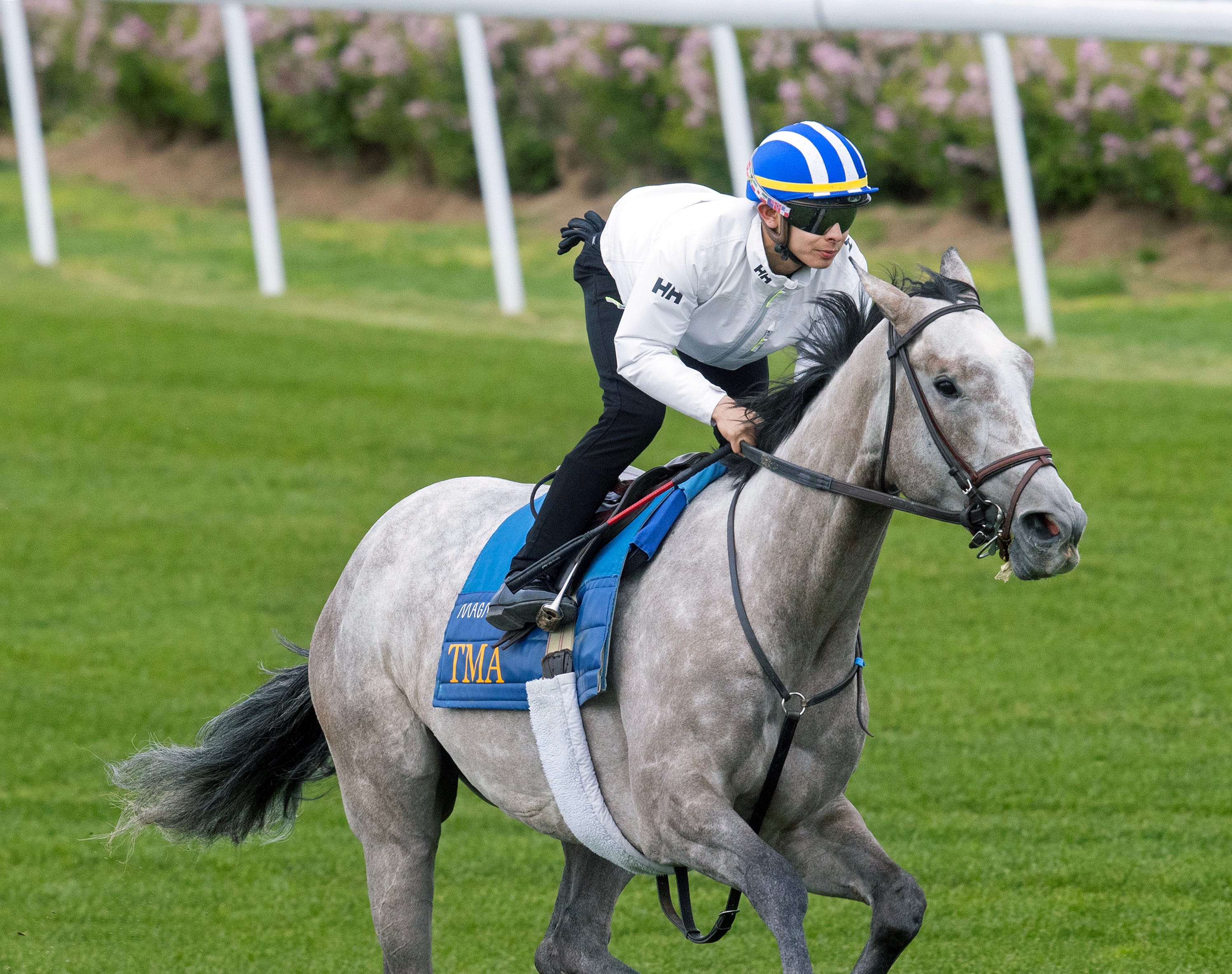 Hoosier Philly has a lot going for her in Dig A Diamond