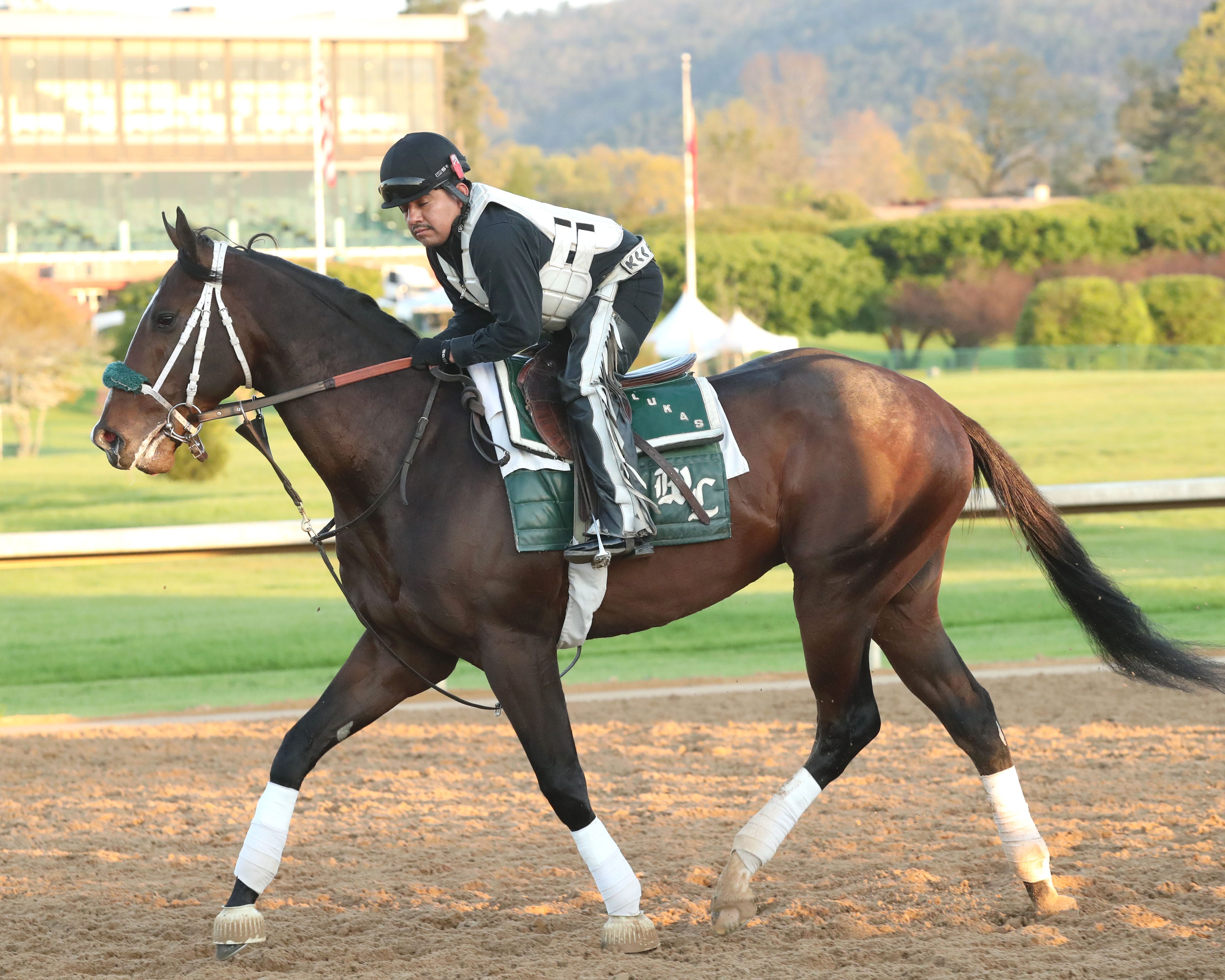 Just Steel impresses in final Oaklawn work