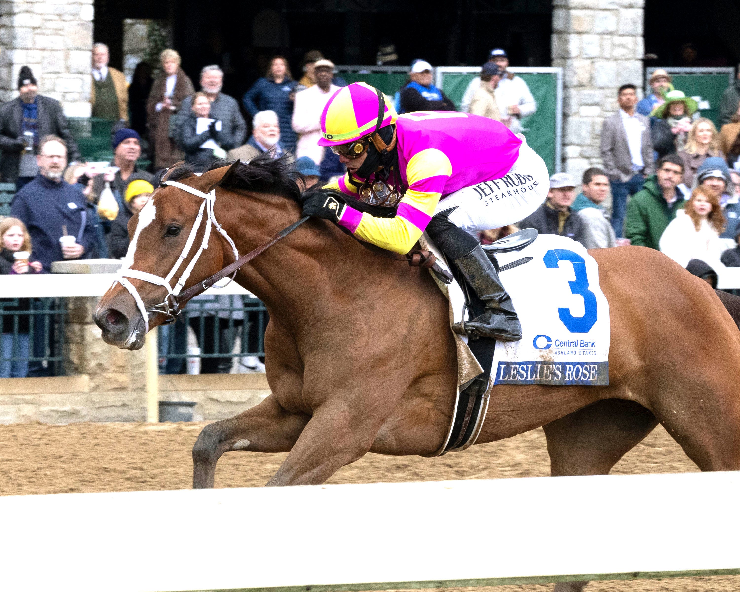 Into Mischief has big weekend, chance to tie Kentucky Derby record