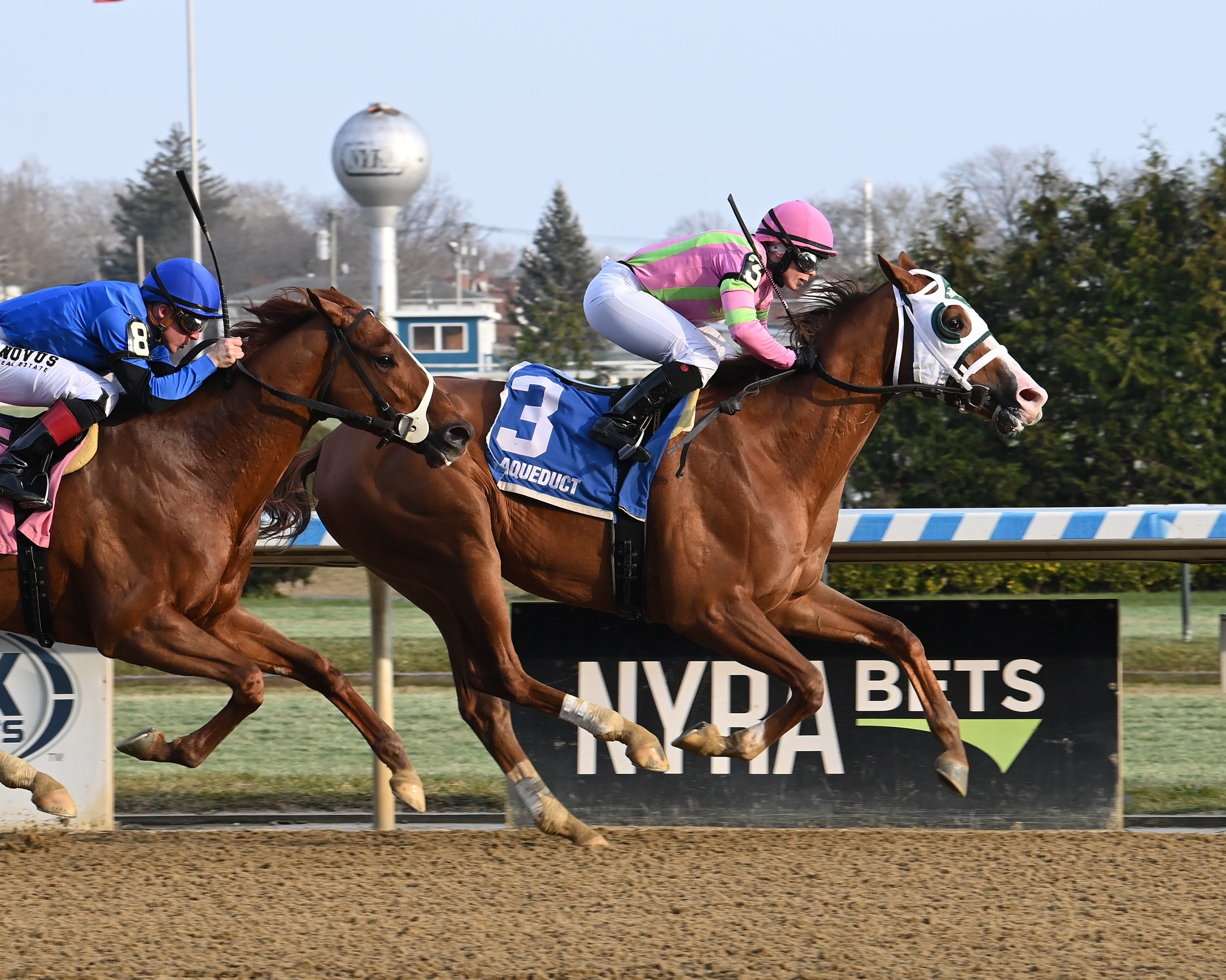 Parx shipper Dylan's Ruby has plenty of upside