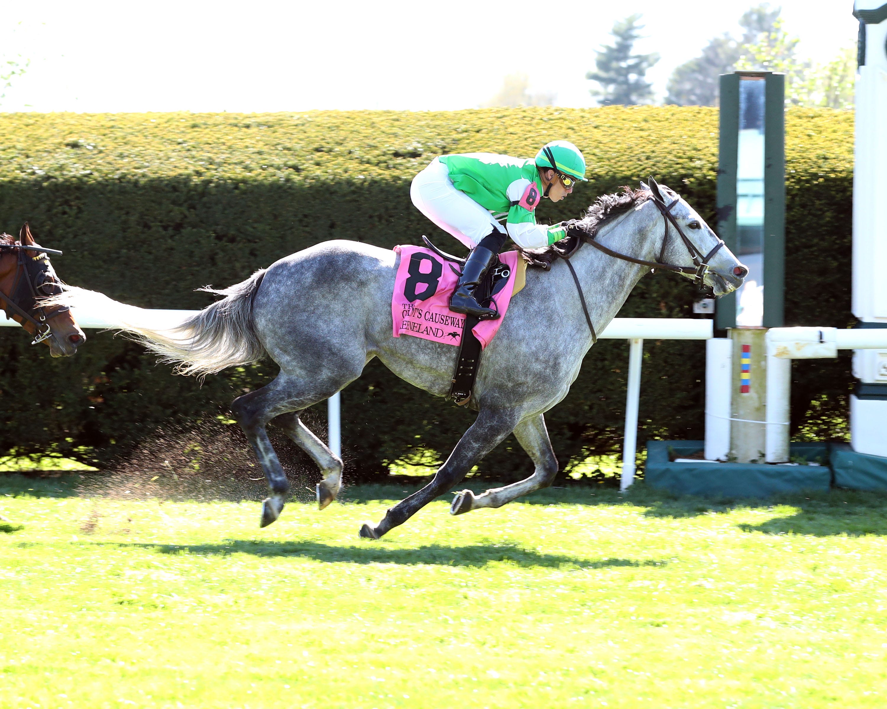 Roses for Debra starts 5-year-old season with Giant’s Causeway victory