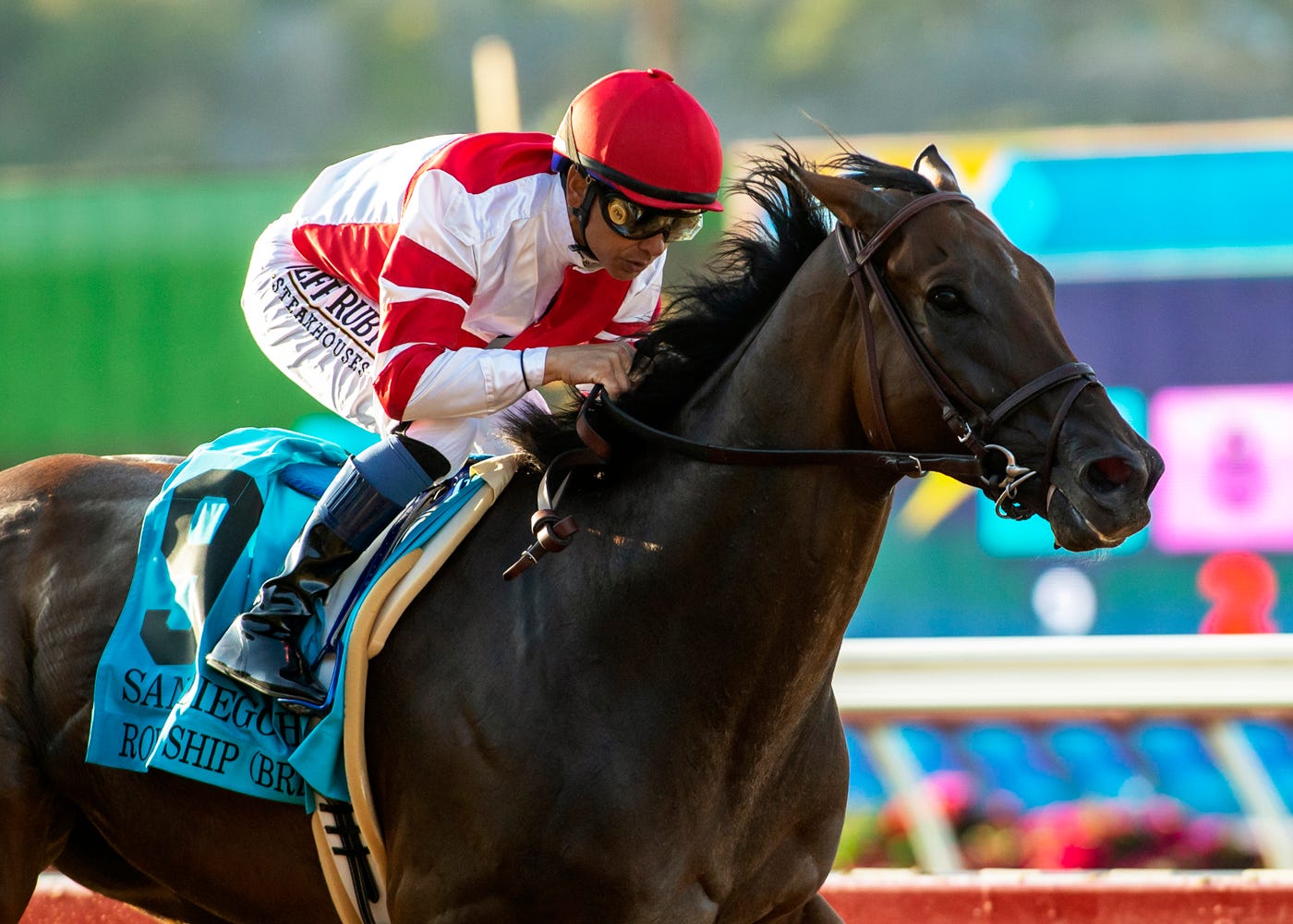 Royal Ship returns from lengthy layoff in Frank Y. Whiteley