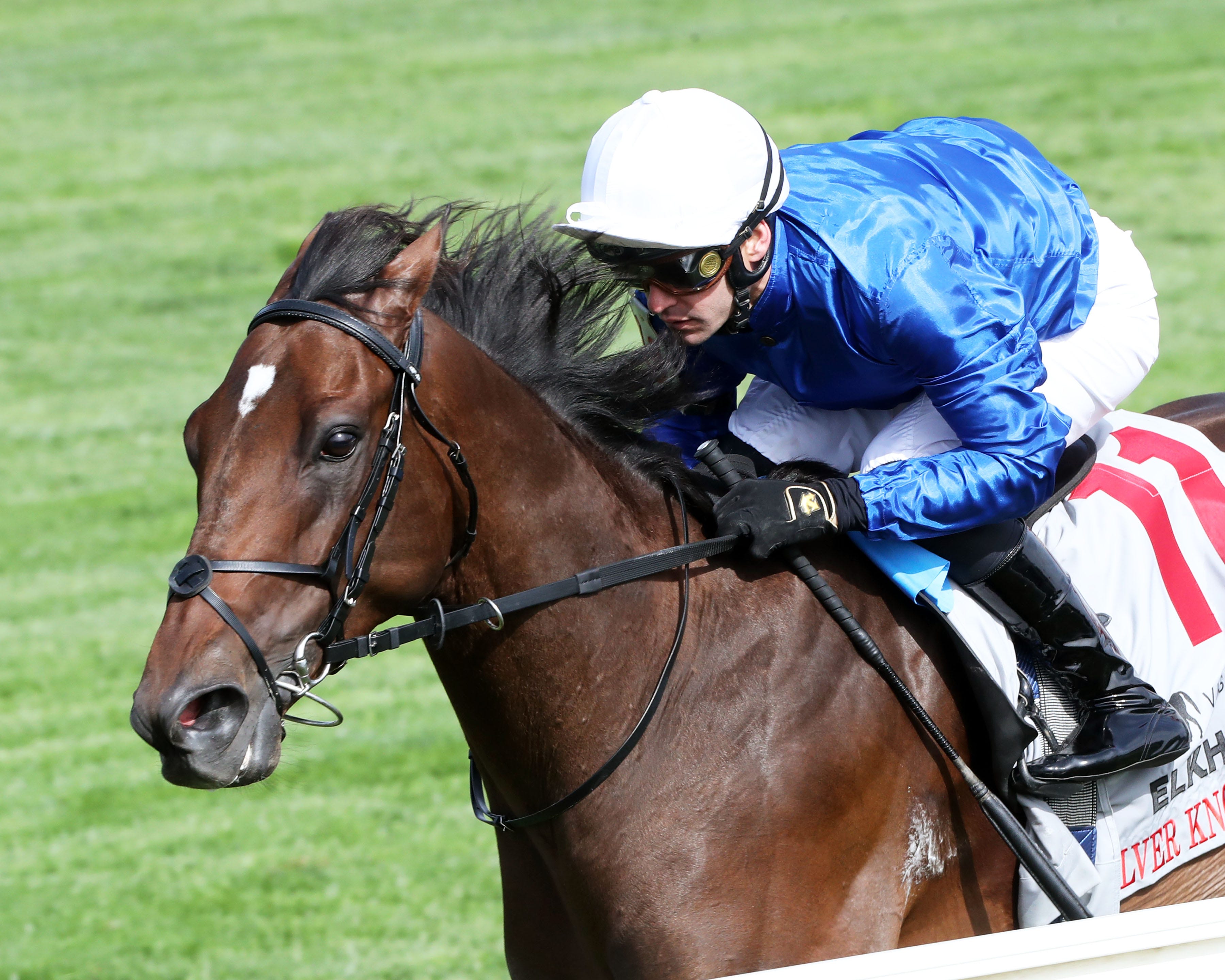 Silver Knott likes the distance, takes Elkhorn Stakes
