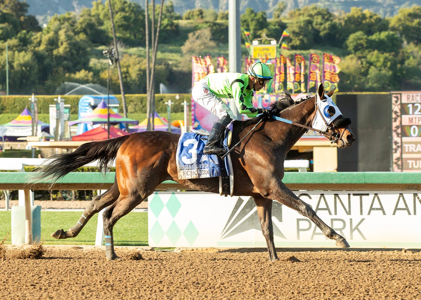 Shady Tiger roars to victory in Echo Eddie