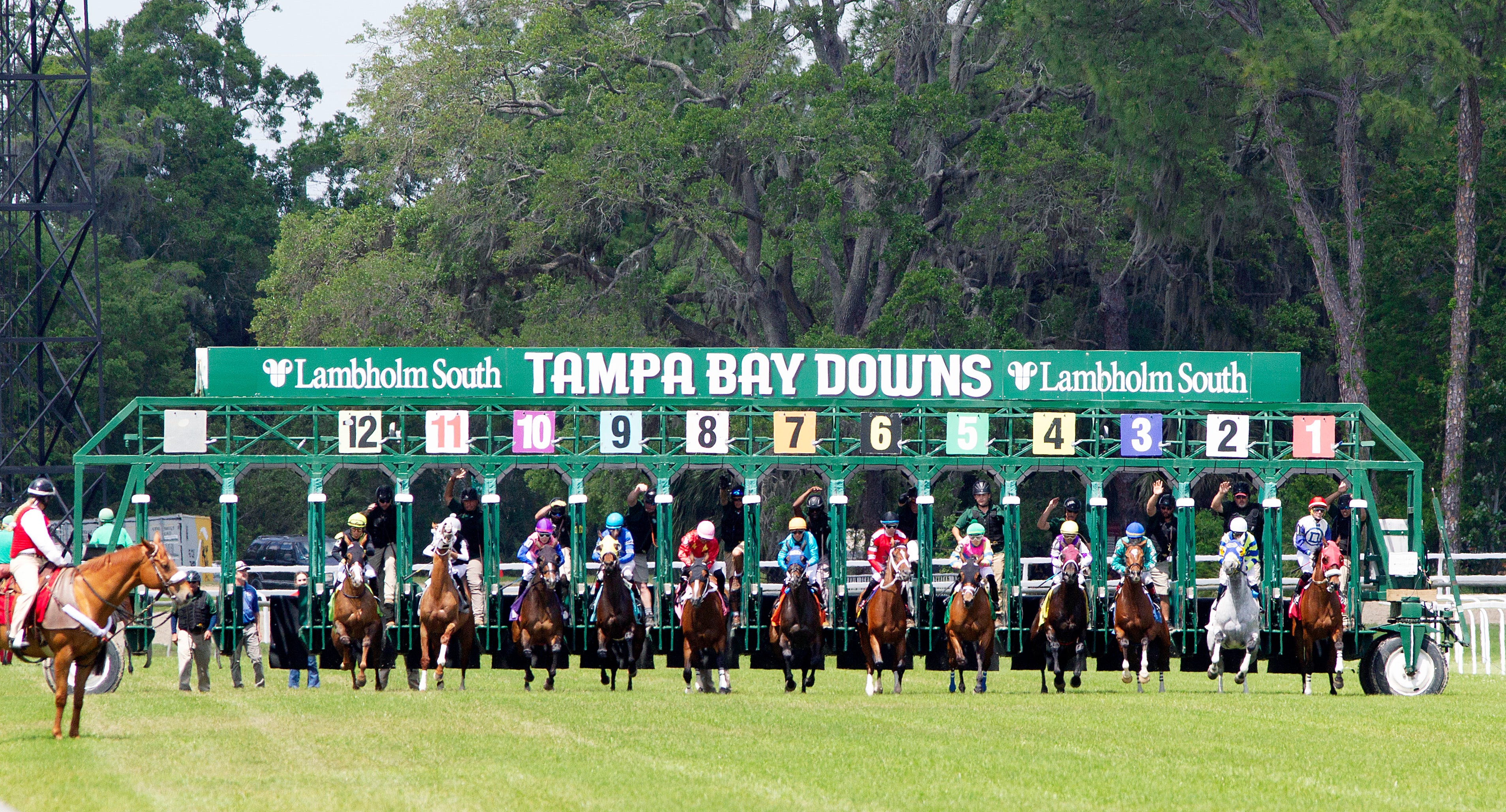 Ehsaan gets back to turf, goes for third win of the meet