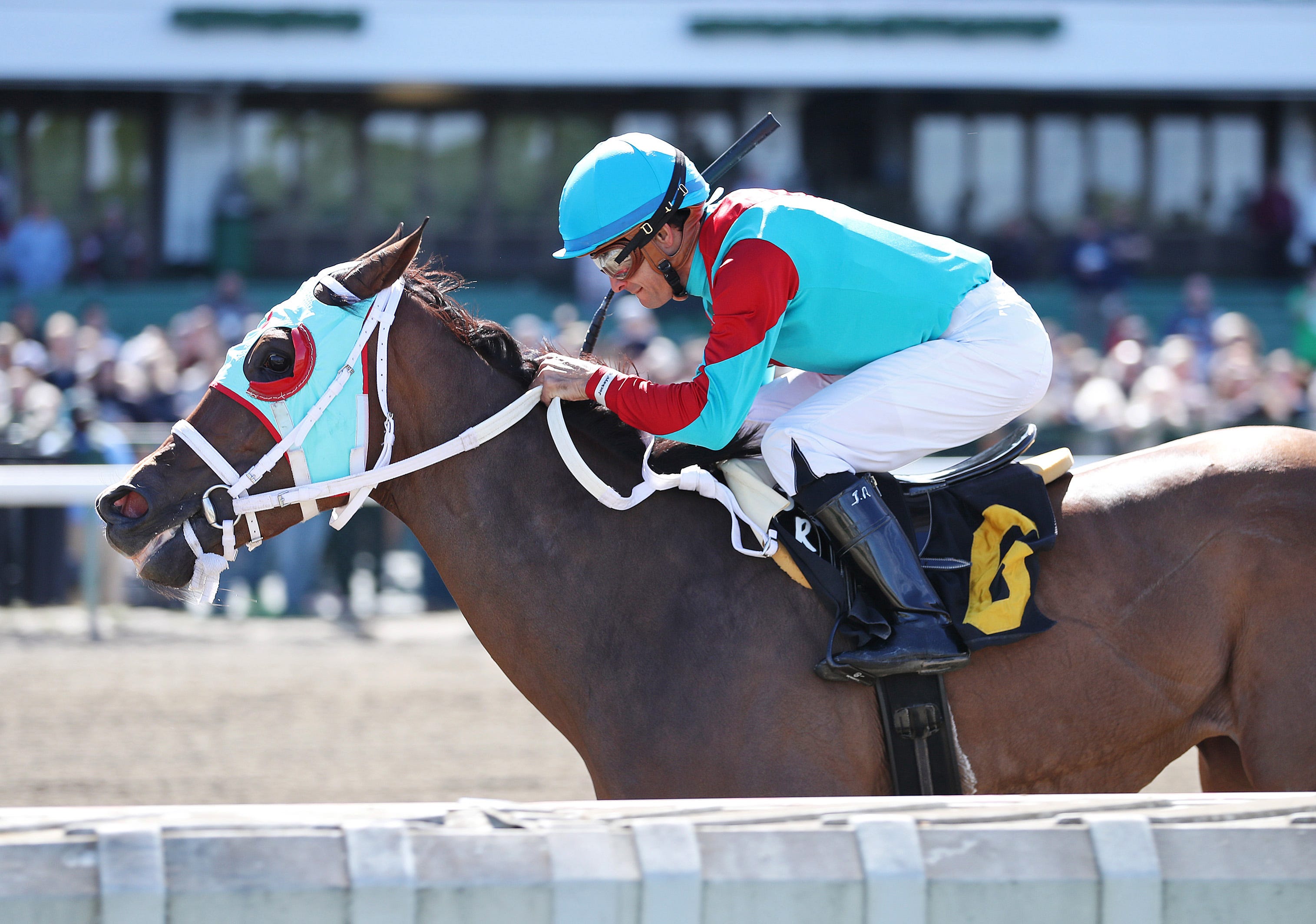 Sea Streak runs away with Long Branch Stakes