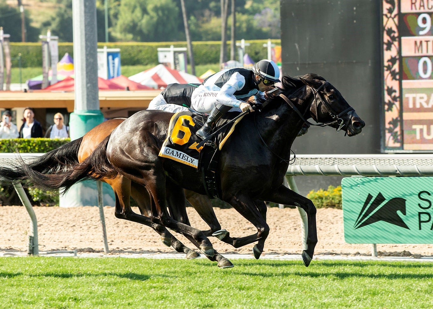 Anisette adds another Grade 1 with Gamely victory