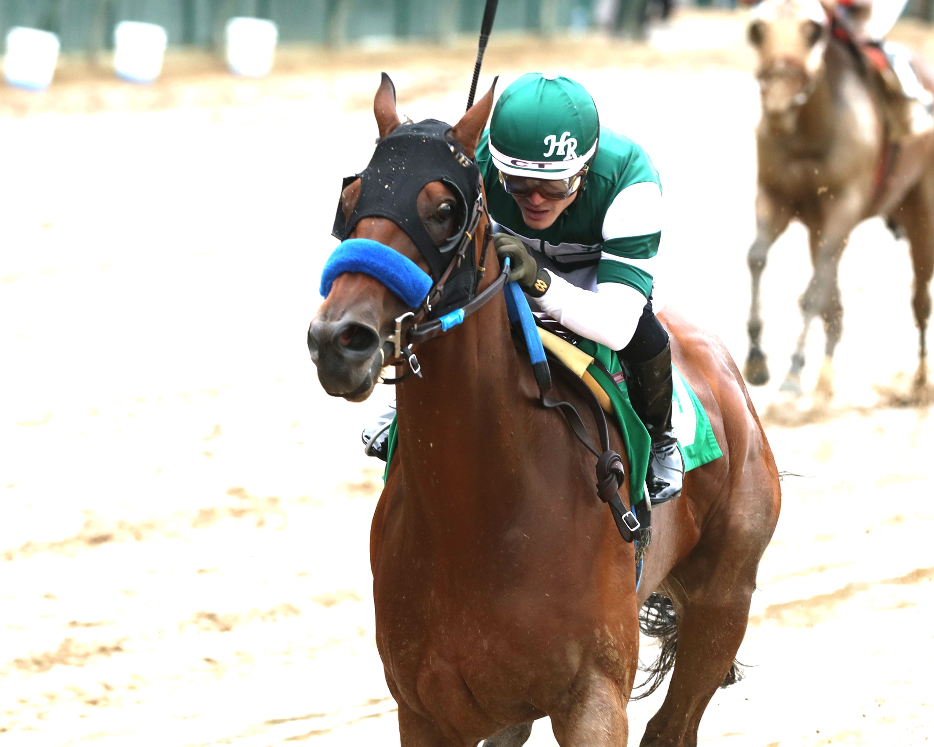 Anywho vs. Tamara could happen in Great Lady M. Stakes