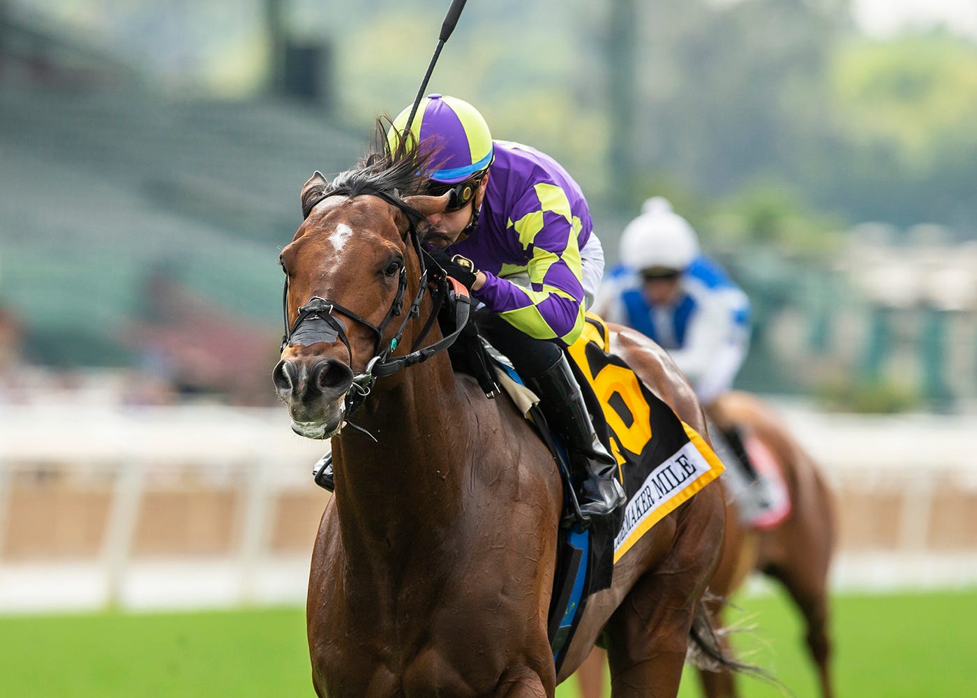 Defending winner Exaulted will skip Shoemaker Mile