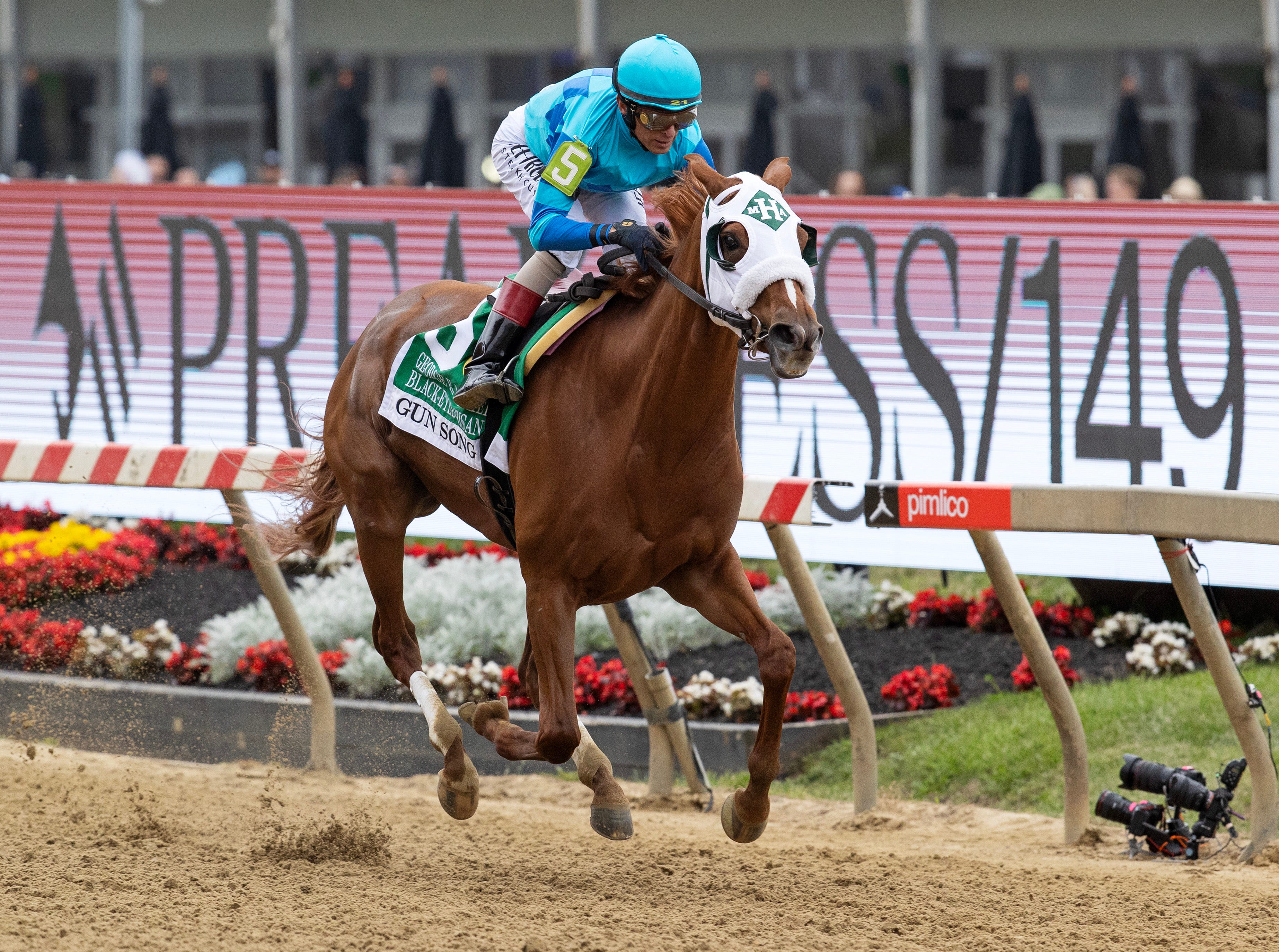 Gun Song pointing toward Acorn after Black-Eyed Susan victory